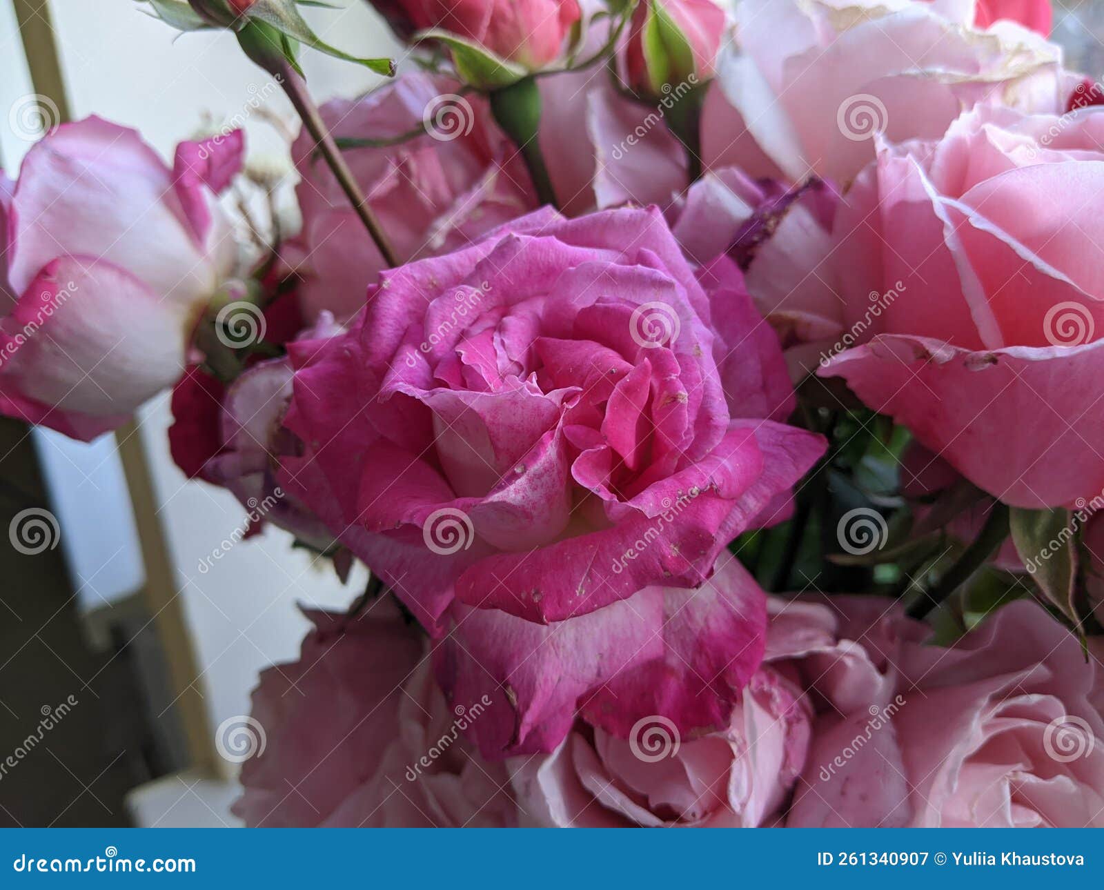 A Large Bouquet of Pink Roses Stock Image - Image of nature, variety ...