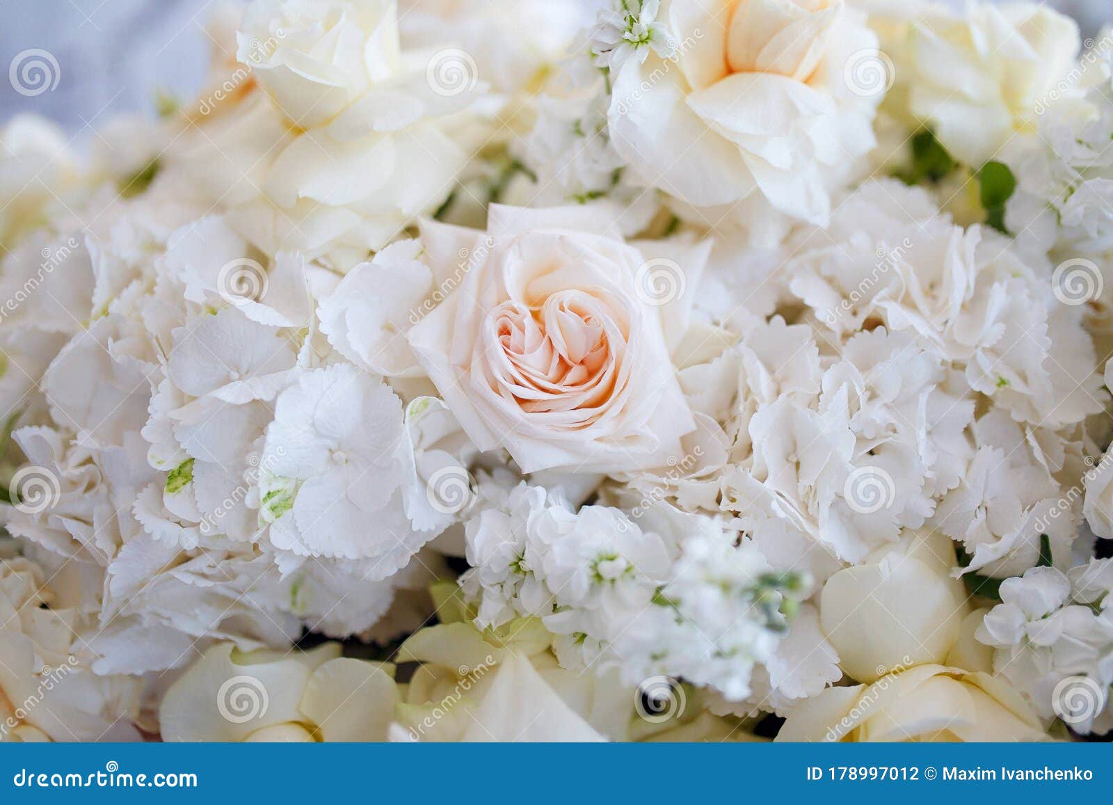 A Large Bouquet of White Roses, Texture Stock Photo - Image of bunch ...