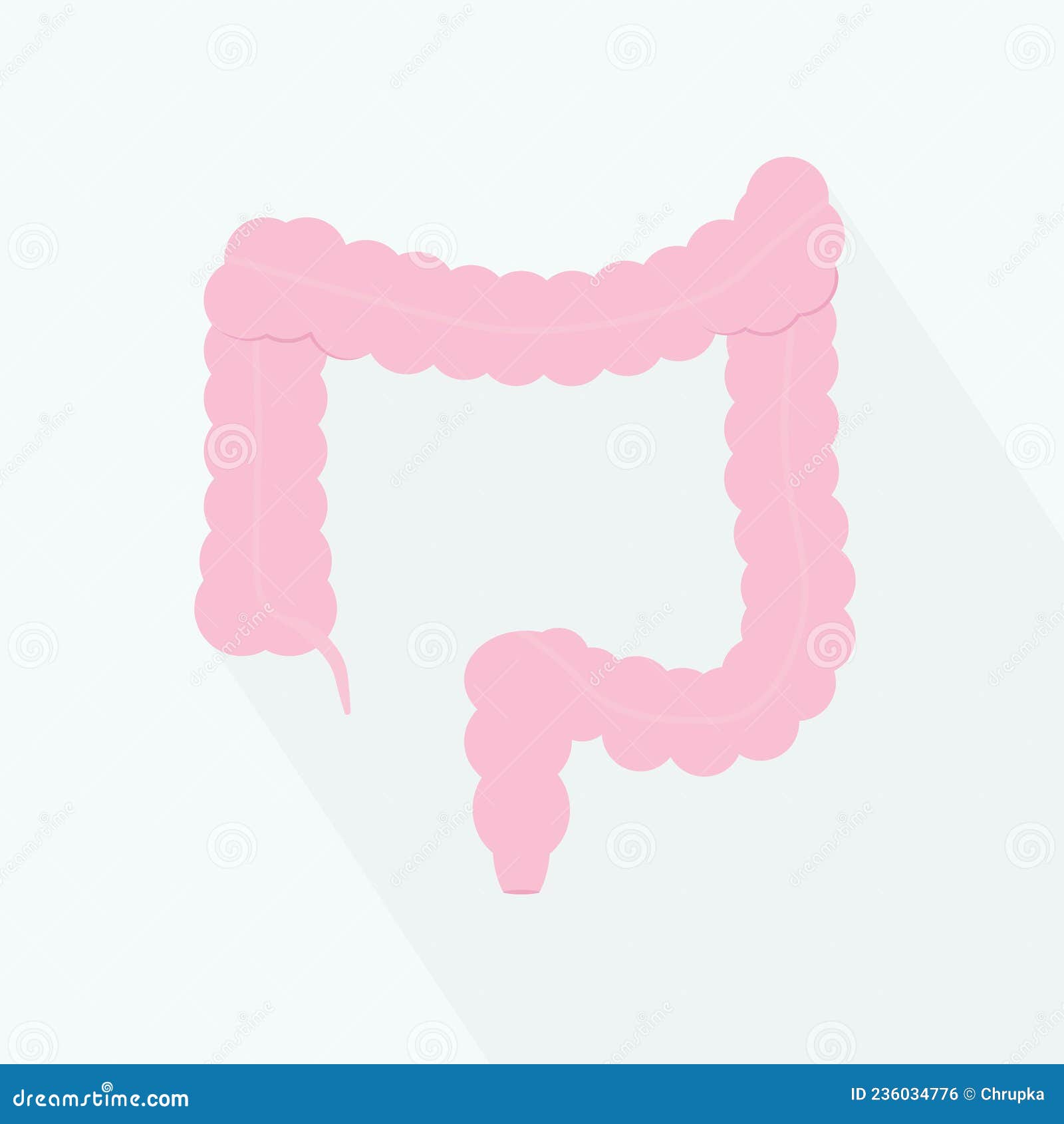 Large bowel icon stock vector. Illustration of appendix - 236034776