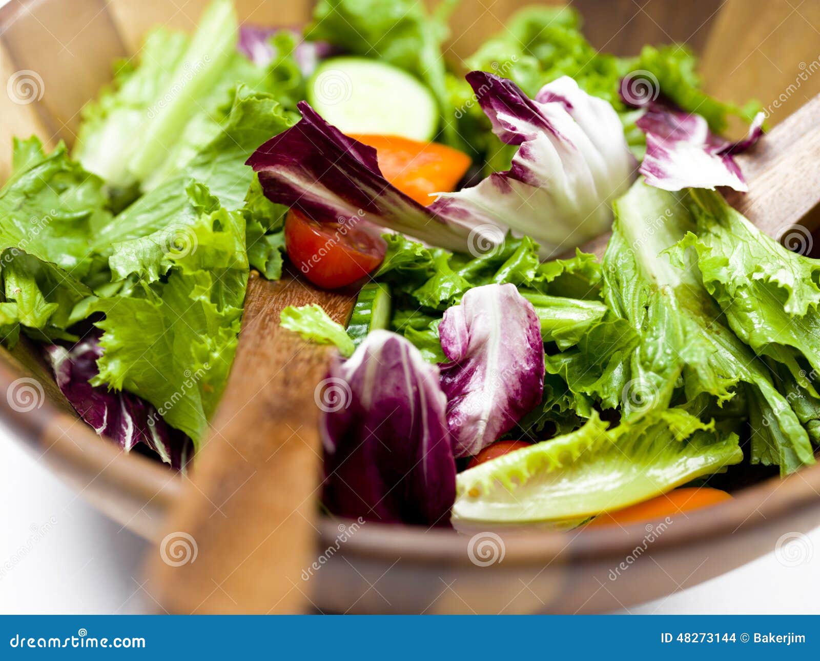 Large bowl of salad stock photo. Image of nature, natural - 48273144