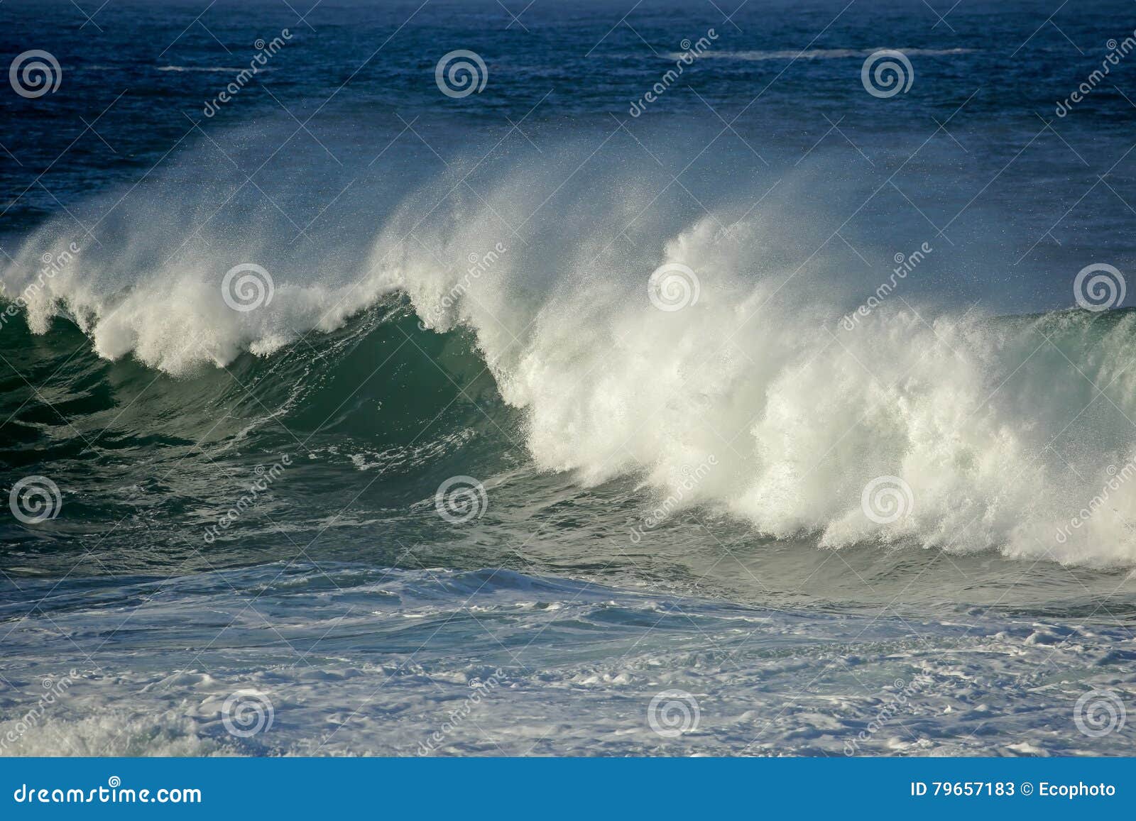 Large breaking wave stock image. Image of outdoor, wave - 79657183