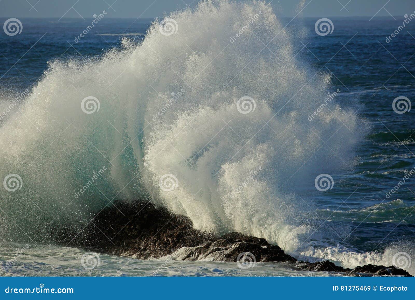 Large breaking wave stock image. Image of landscape, wave - 81275469