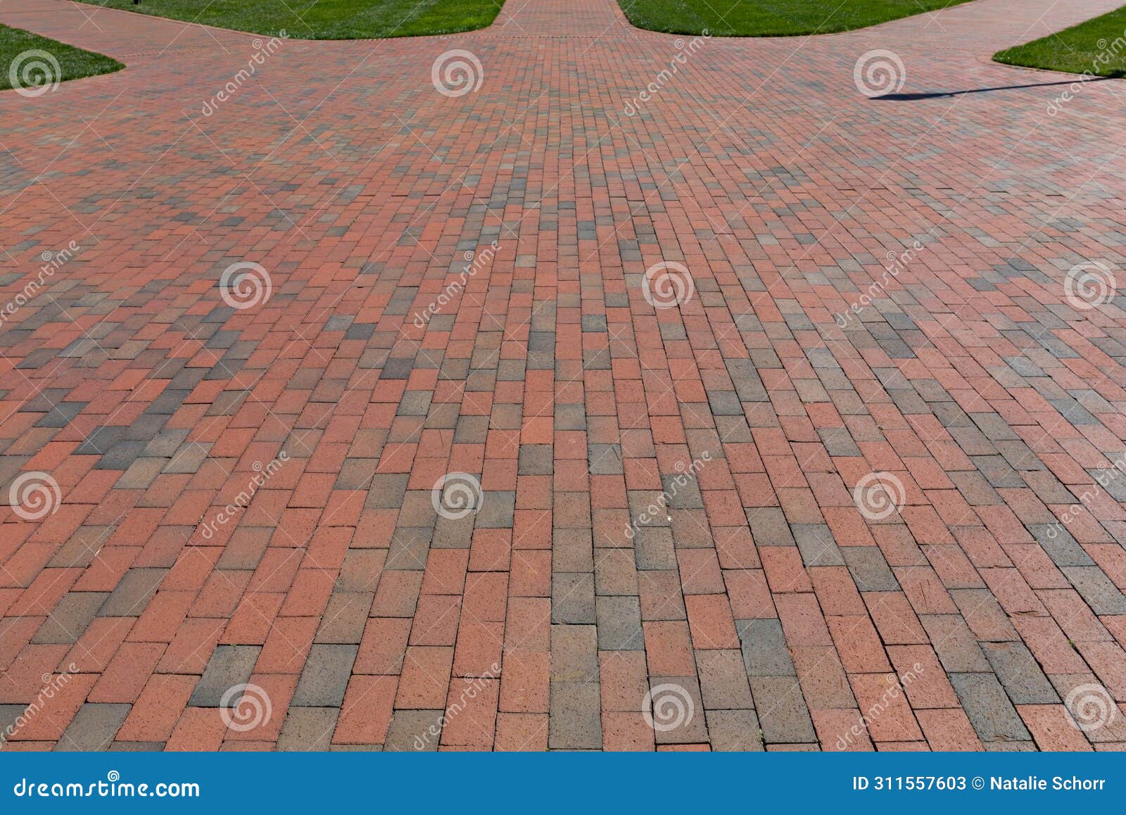 Large Brick Pathway Splitting Off into 3 Different Paths, Choices of ...