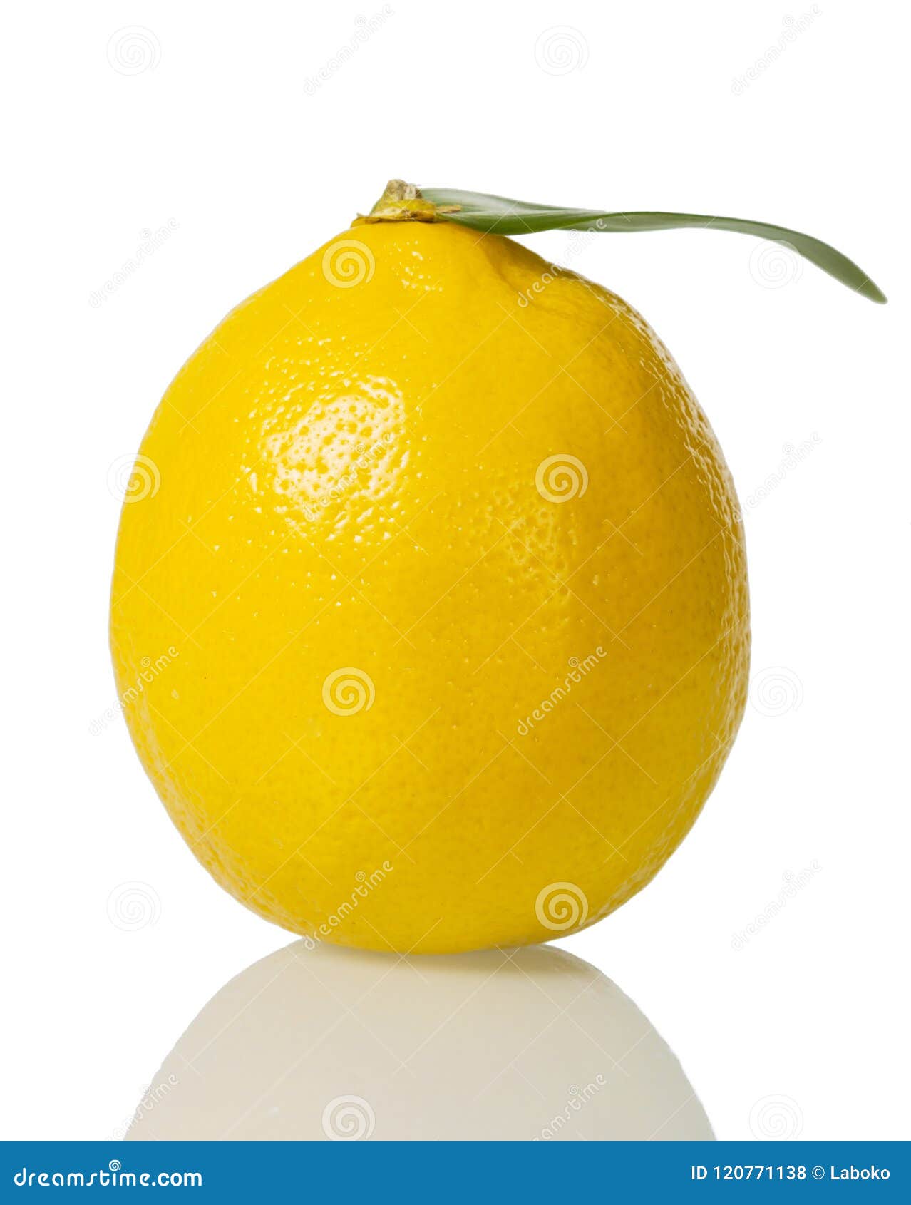 Large Bright Lemon with Leaf Isolated on White Stock Photo - Image of ...