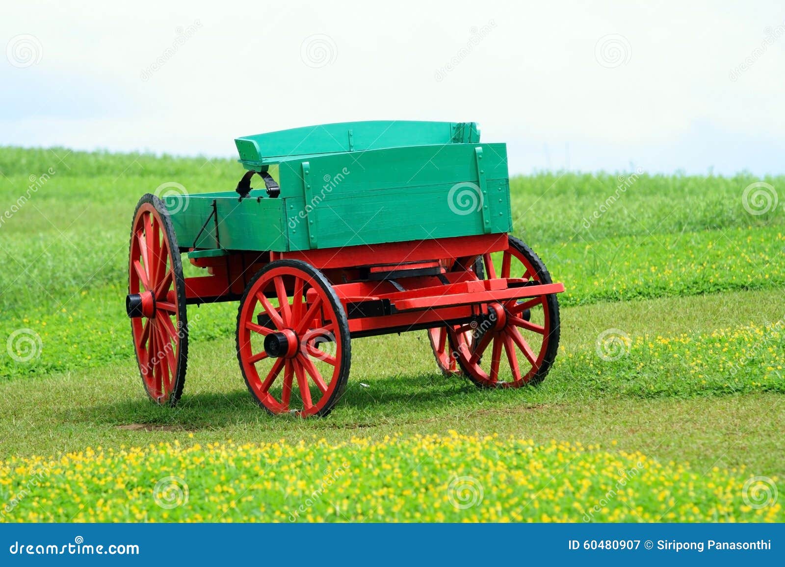 Old Buckboard Royalty-Free Stock Photo | CartoonDealer.com #48041865