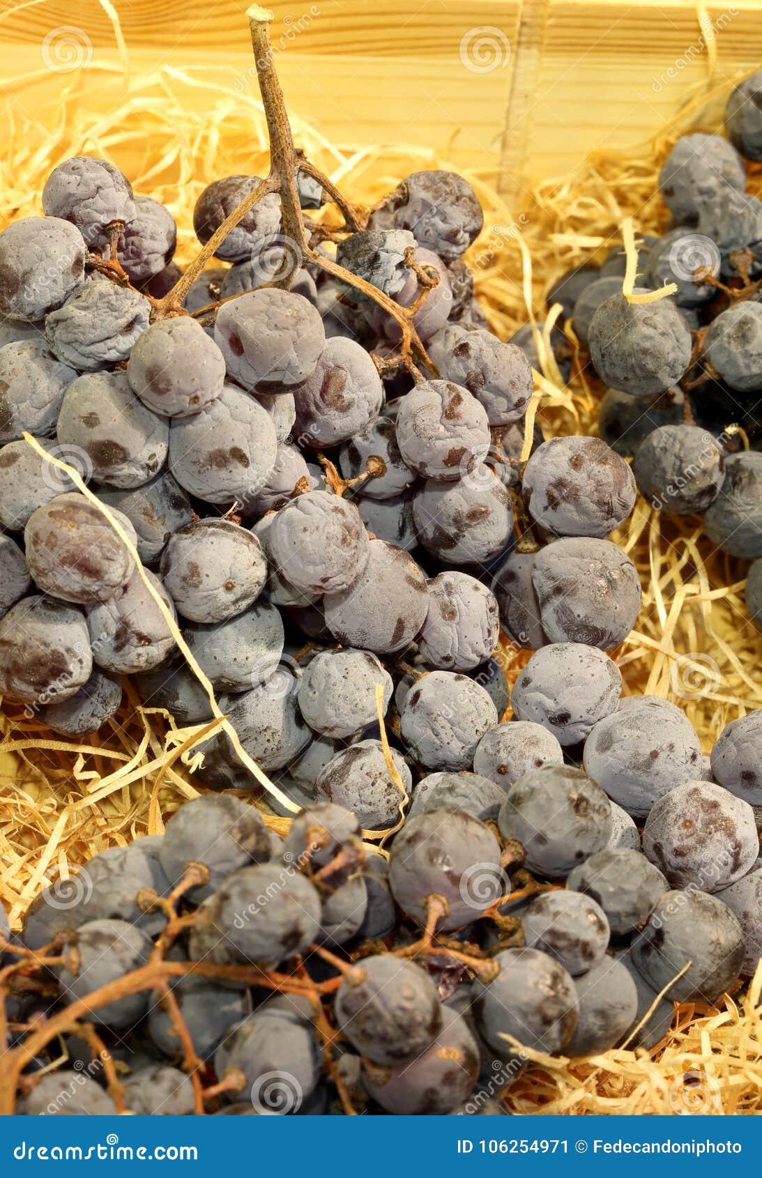 Large Bunch of Black Grapes Lying on Straw Stock Image - Image of ...