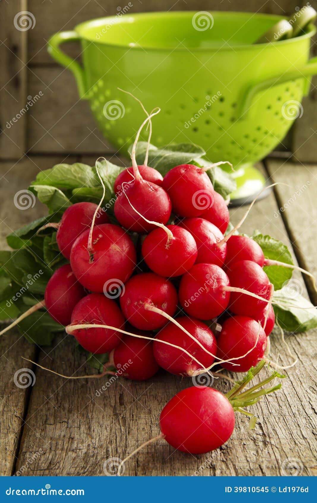 Large Bunch of Fresh Radish Stock Image - Image of organic, vegan: 39810545