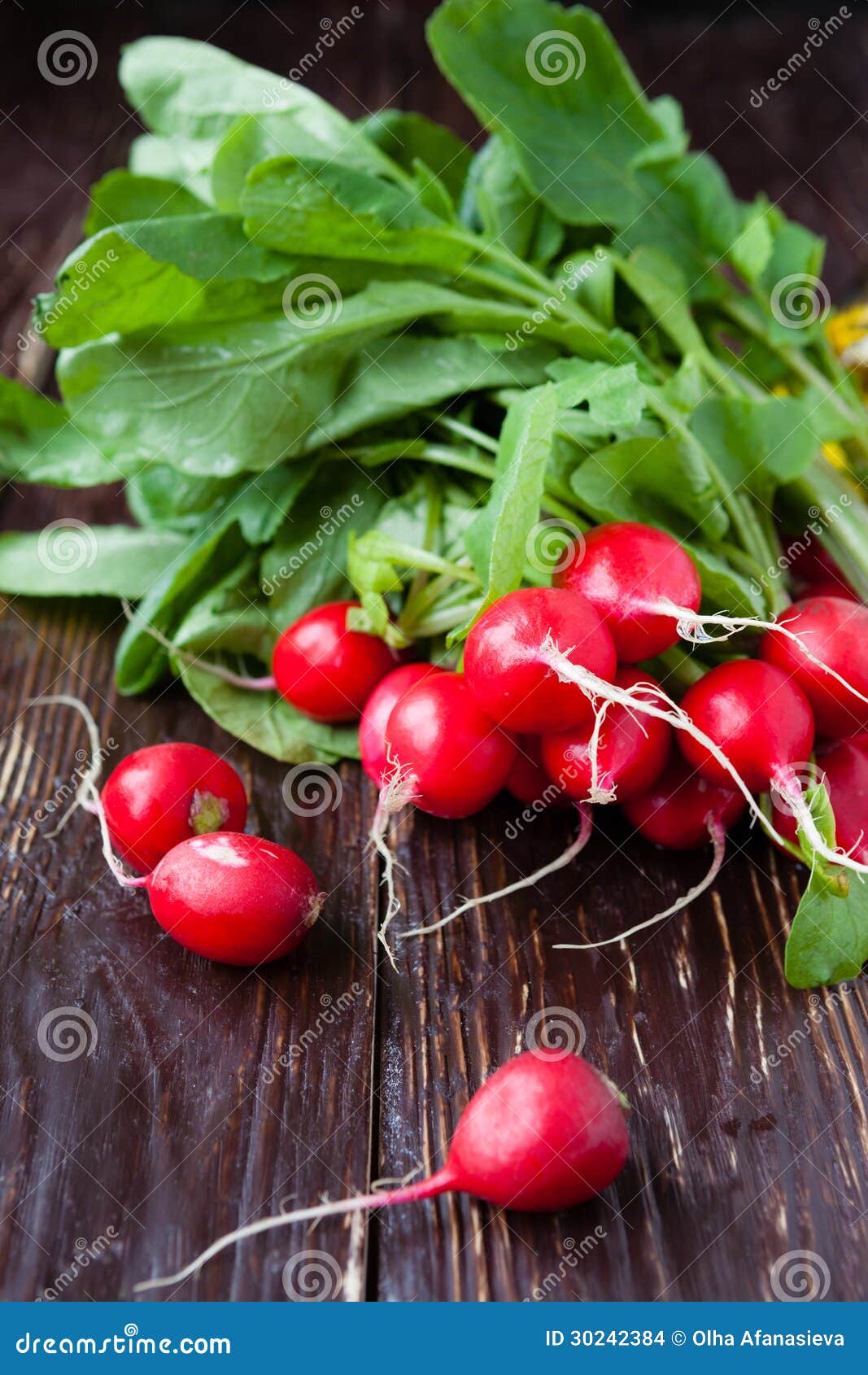 Large Bunch of Fresh Red Radish Stock Photo - Image of nature, bundle ...