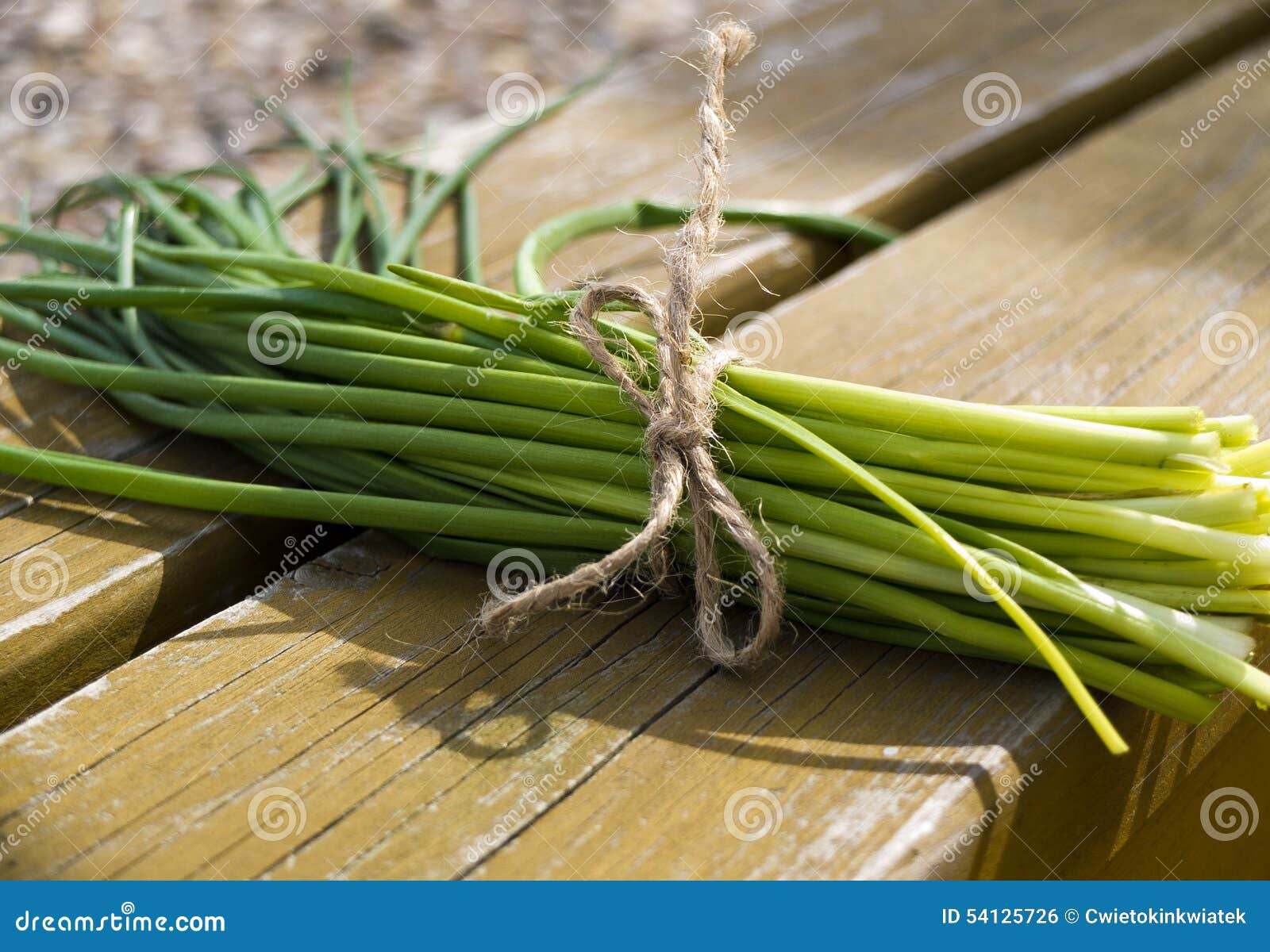 Large Bunch of Green Chives Stock Photo - Image of blur, aroma: 54125726