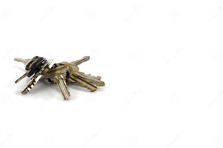 Large Bunch of Keys Isolate Stock Image - Image of hanging, door: 109127571