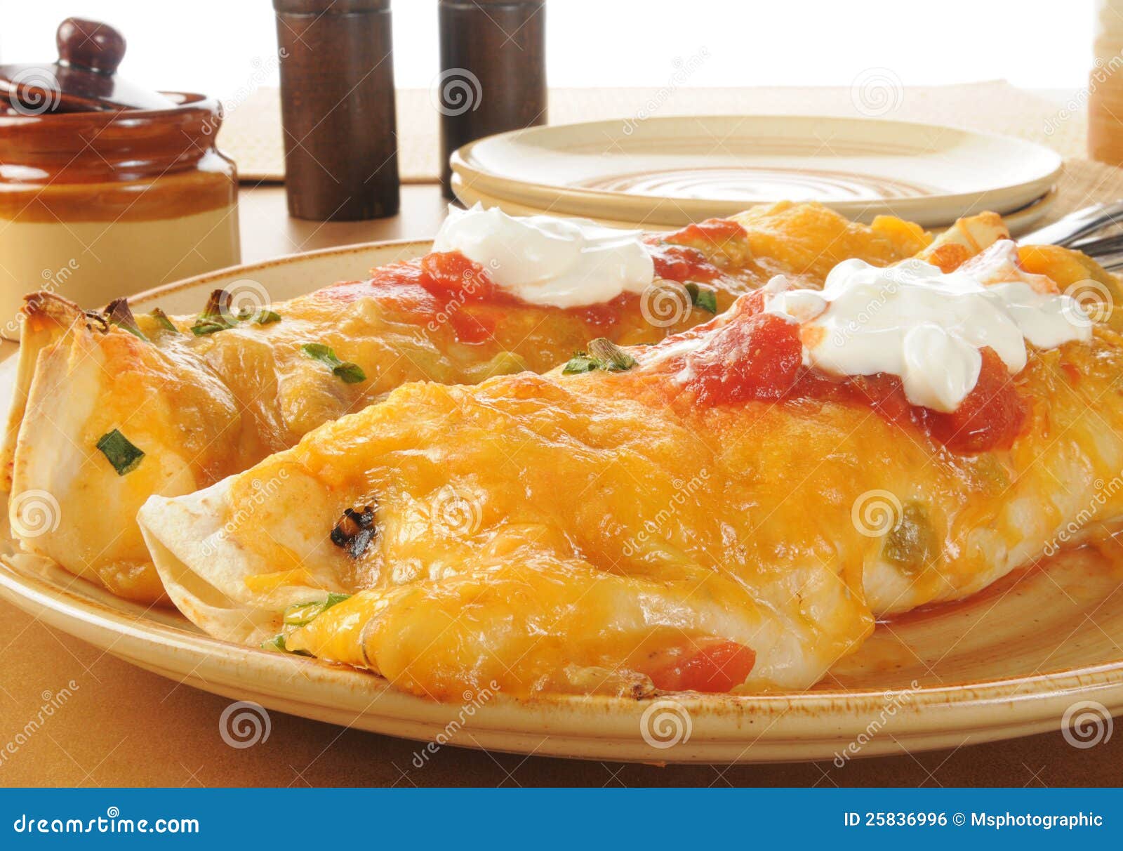 Large burritos close up stock photo. Image of chicken - 25836996