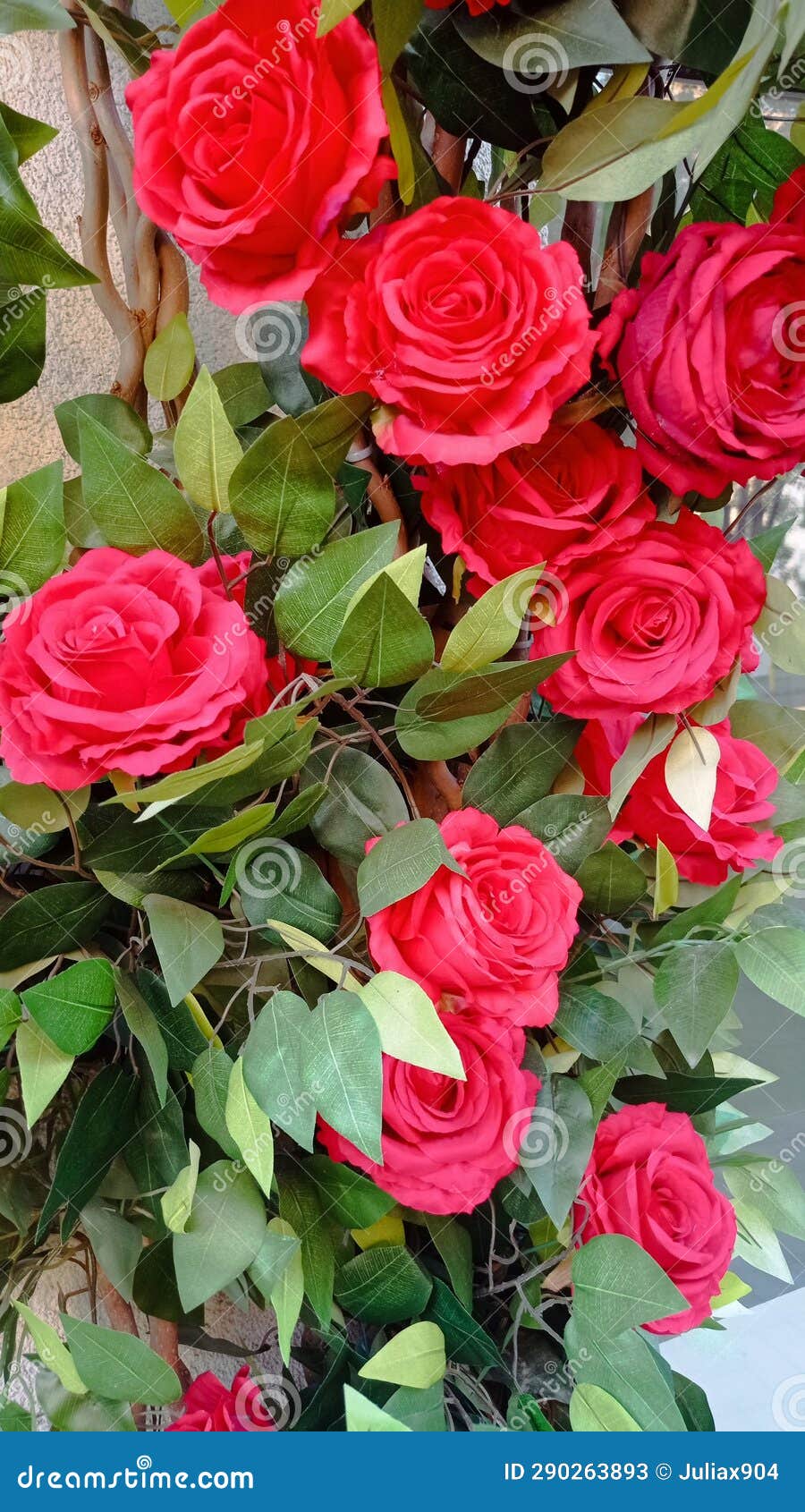 Large bush of red roses stock image. Image of roses - 290263893