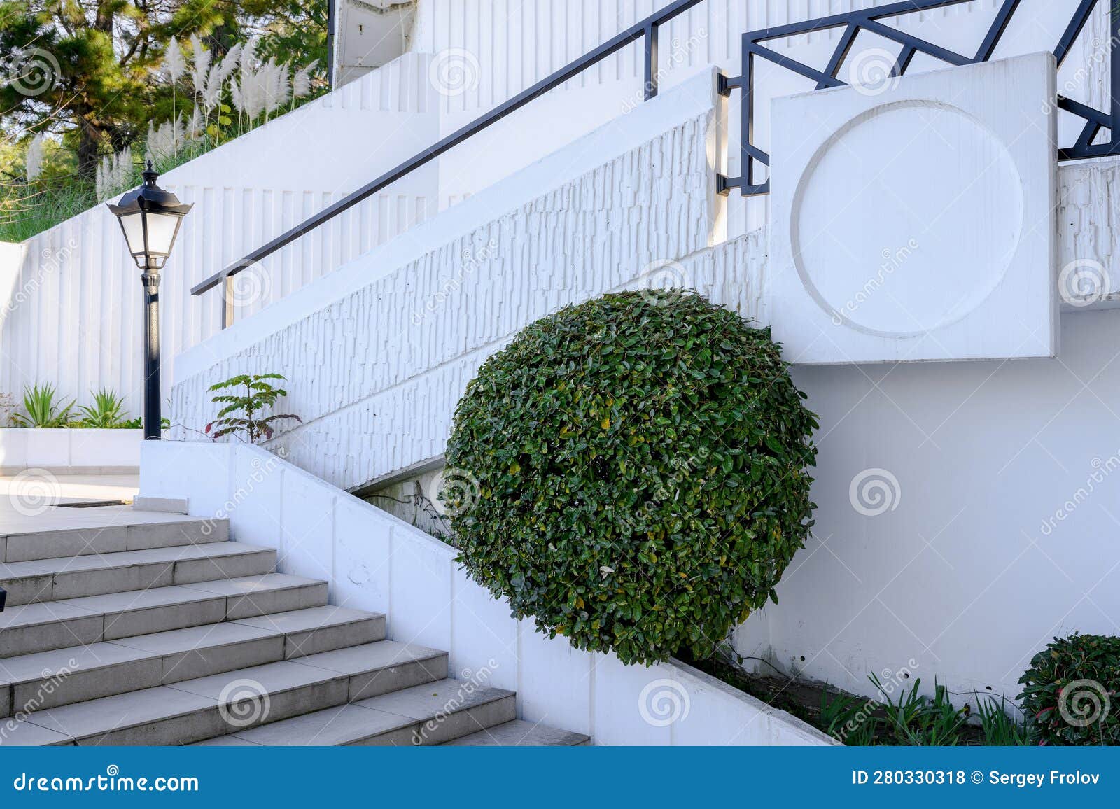 A Large Bush in the Shape of a Ball in a Geometric Pattern of Light ...