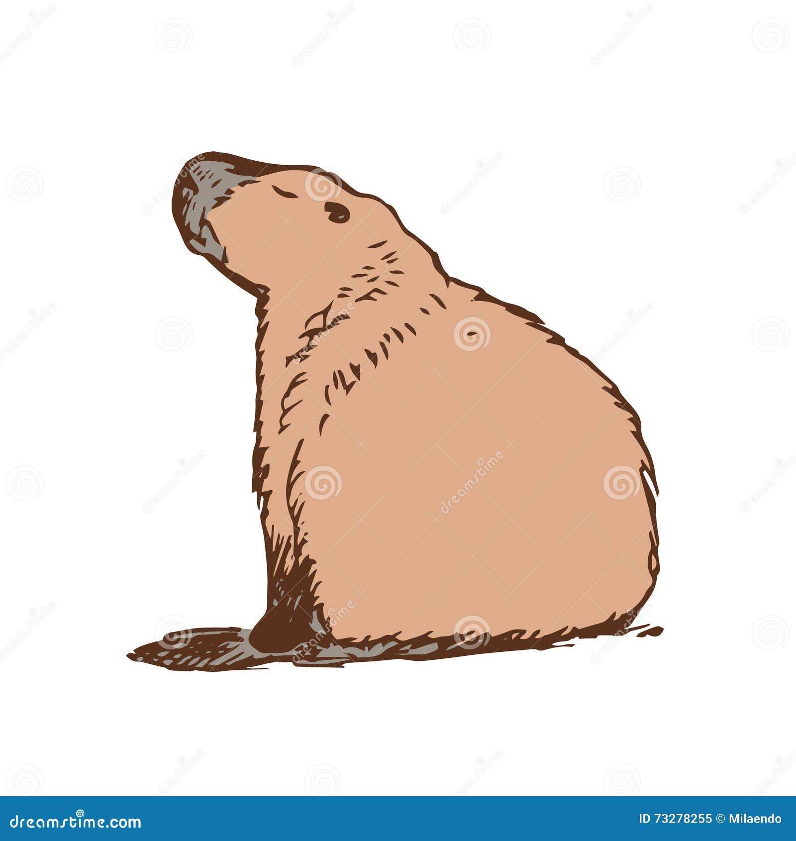 Capybara Sits Upright Side View Illustration Visualized With Silhouette ...