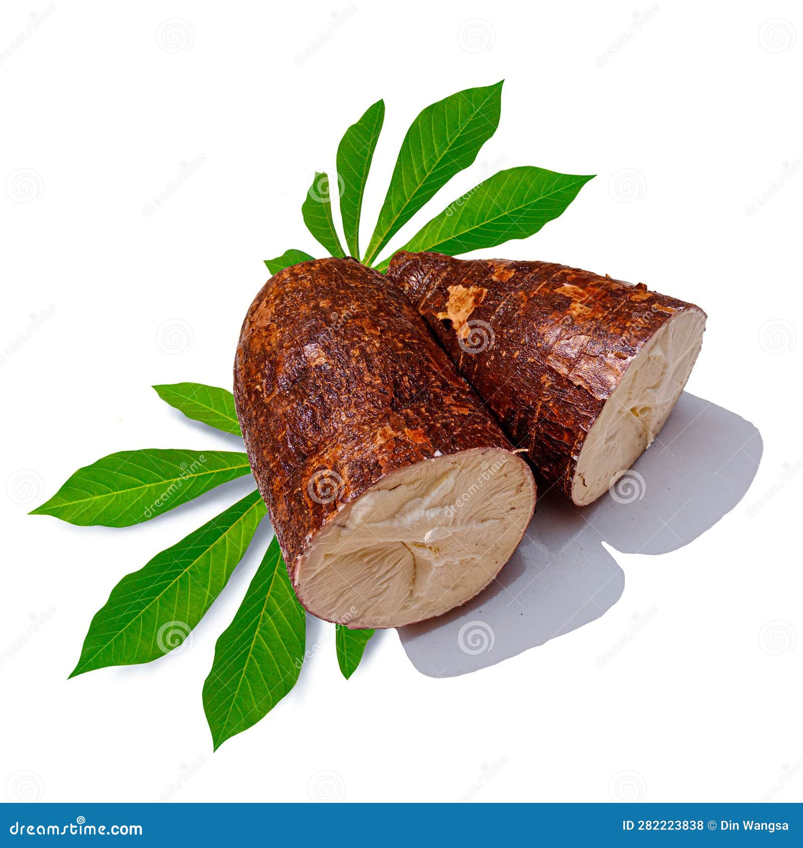 A Large Cassava Root Plant with a White Background Stock Photo - Image ...