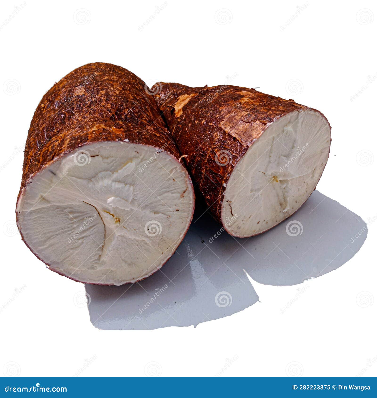 A Large Cassava Root Plant with a White Background Stock Image - Image ...