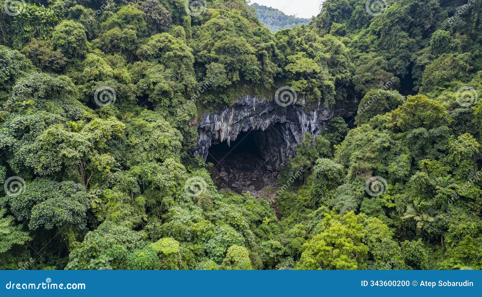 A Large Cave Opening is Visible in a Dense, Lush Green Forest Stock ...