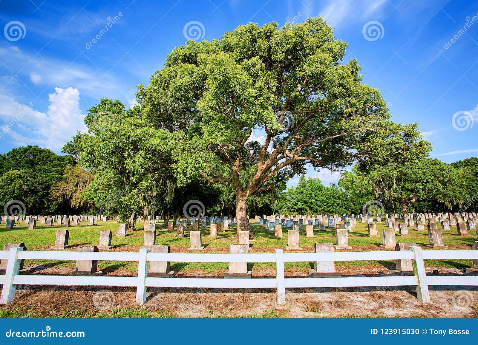 Large Cemetery, Graveyard with Multiple Headstones Stock Photo - Image ...