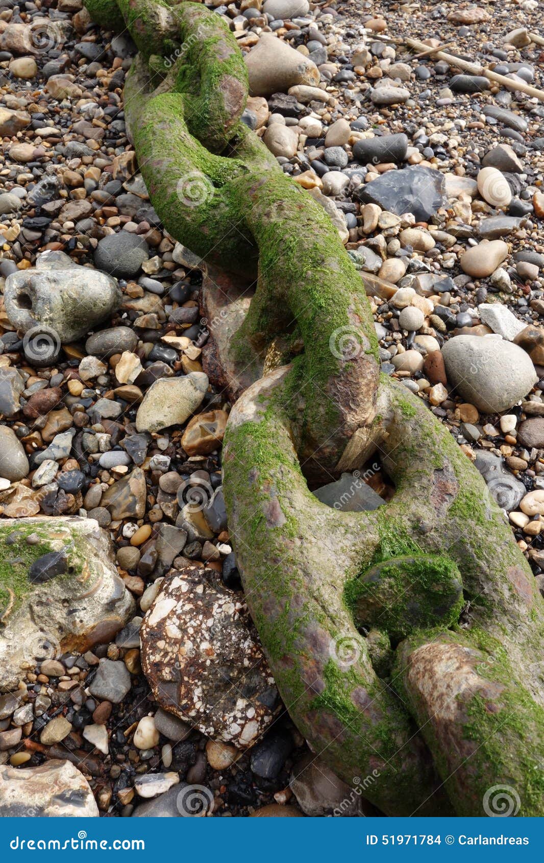 Large chain on beach. stock photo. Image of metal, industrial - 51971784