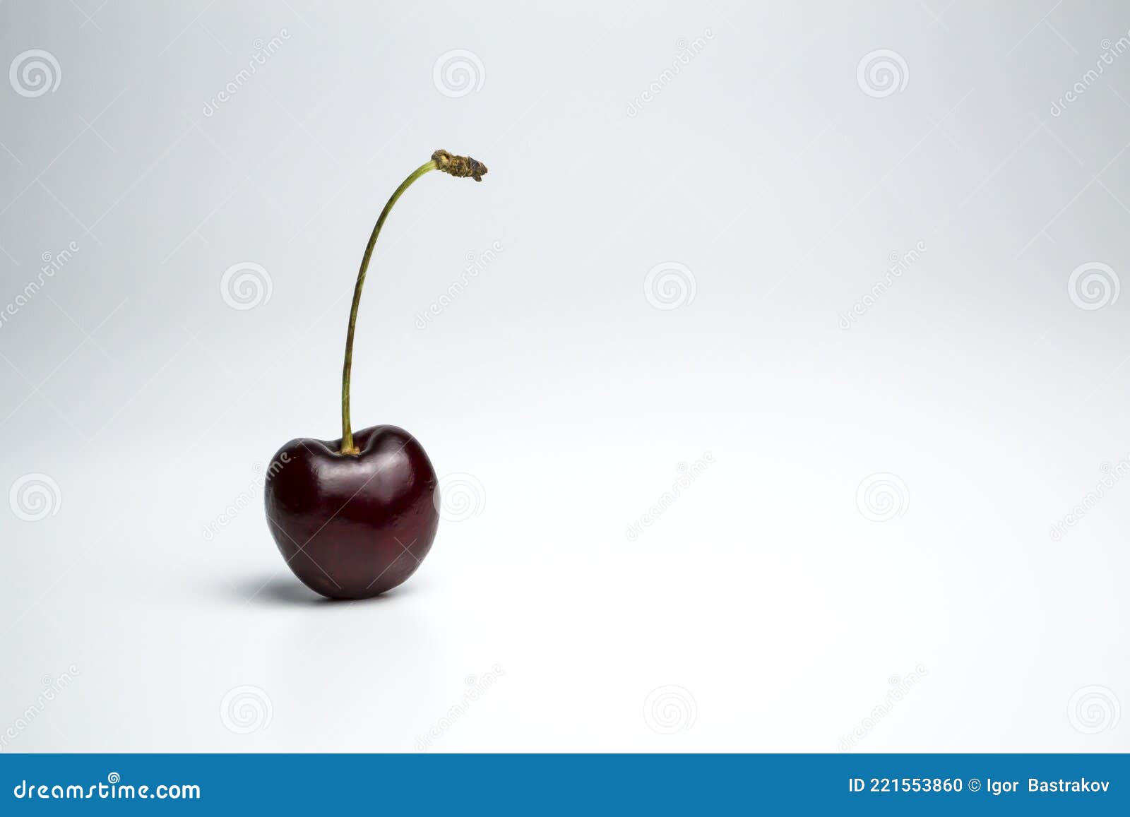 A Large Cherry on a White Background Stock Photo - Image of berry ...