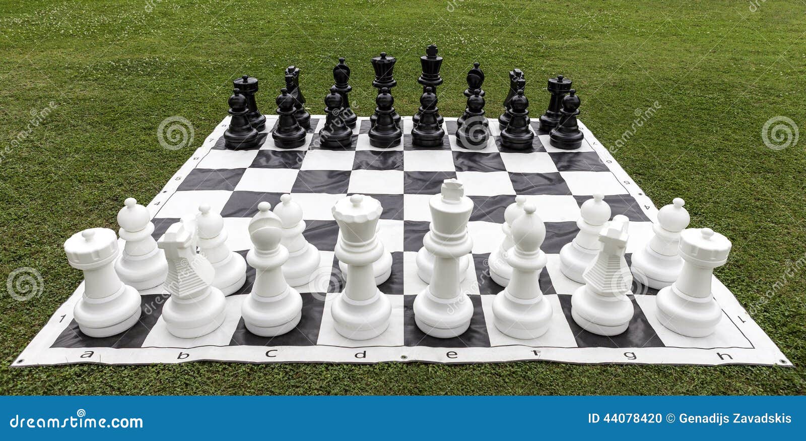 Large Chess on Garden Grass Stock Photo - Image of black, checkmate ...