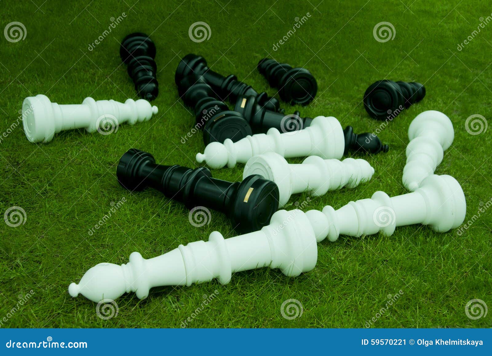 Large Chess Pieces On The Grass Stock Image | CartoonDealer.com #59570221