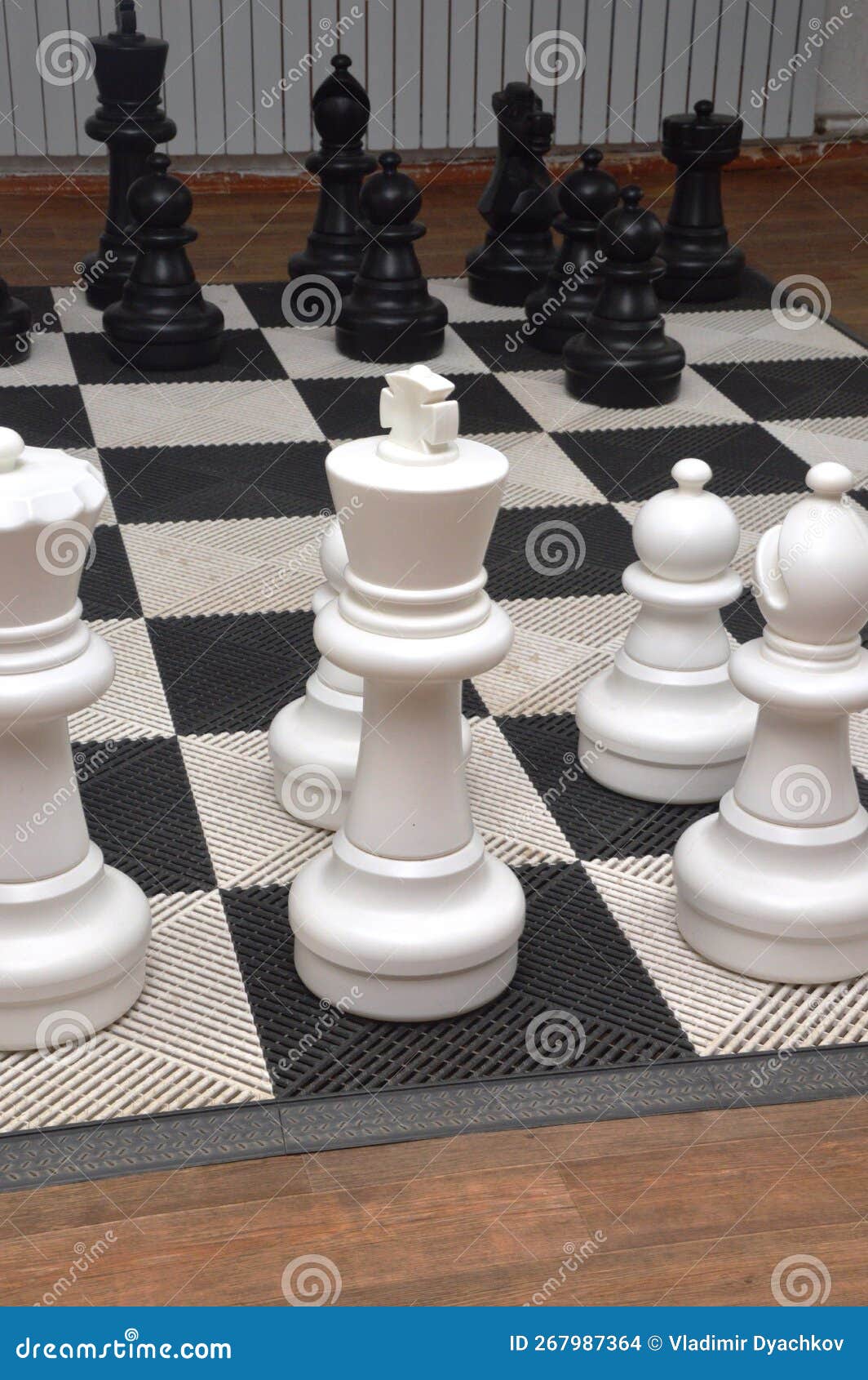 Large chess pieces stock photo. Image of outdoor, young - 267987364