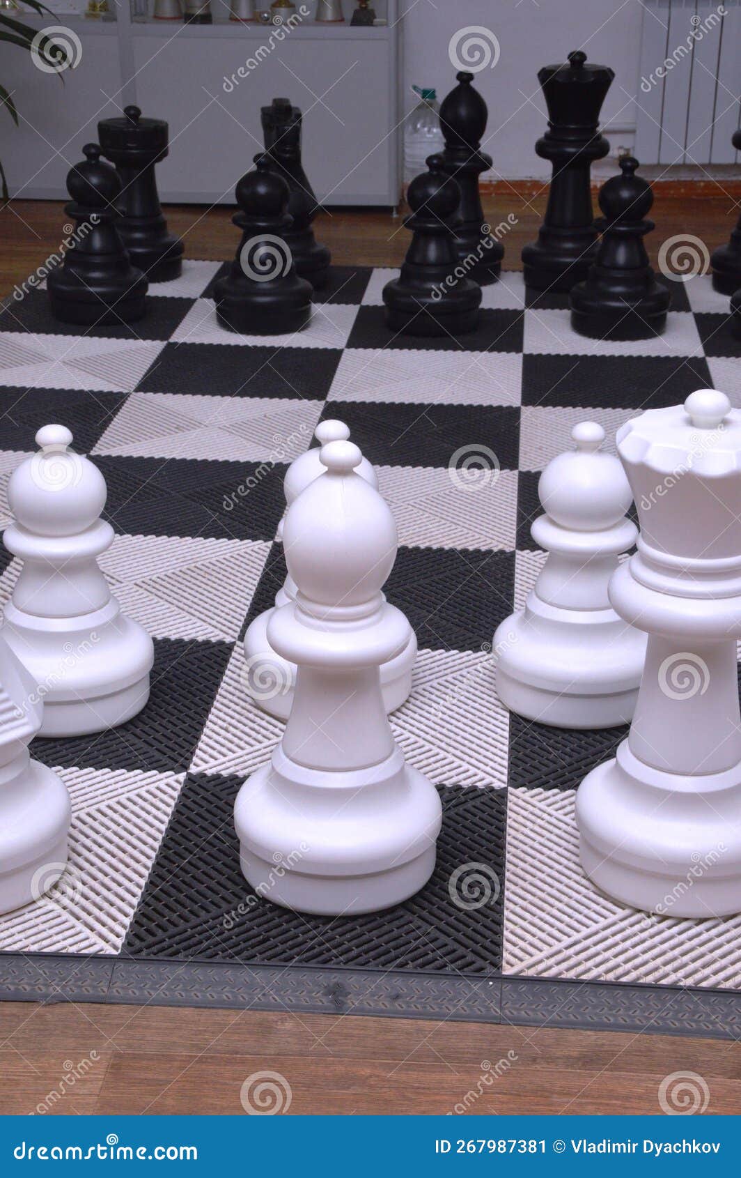 Large chess pieces stock image. Image of urban, beautiful - 267987381