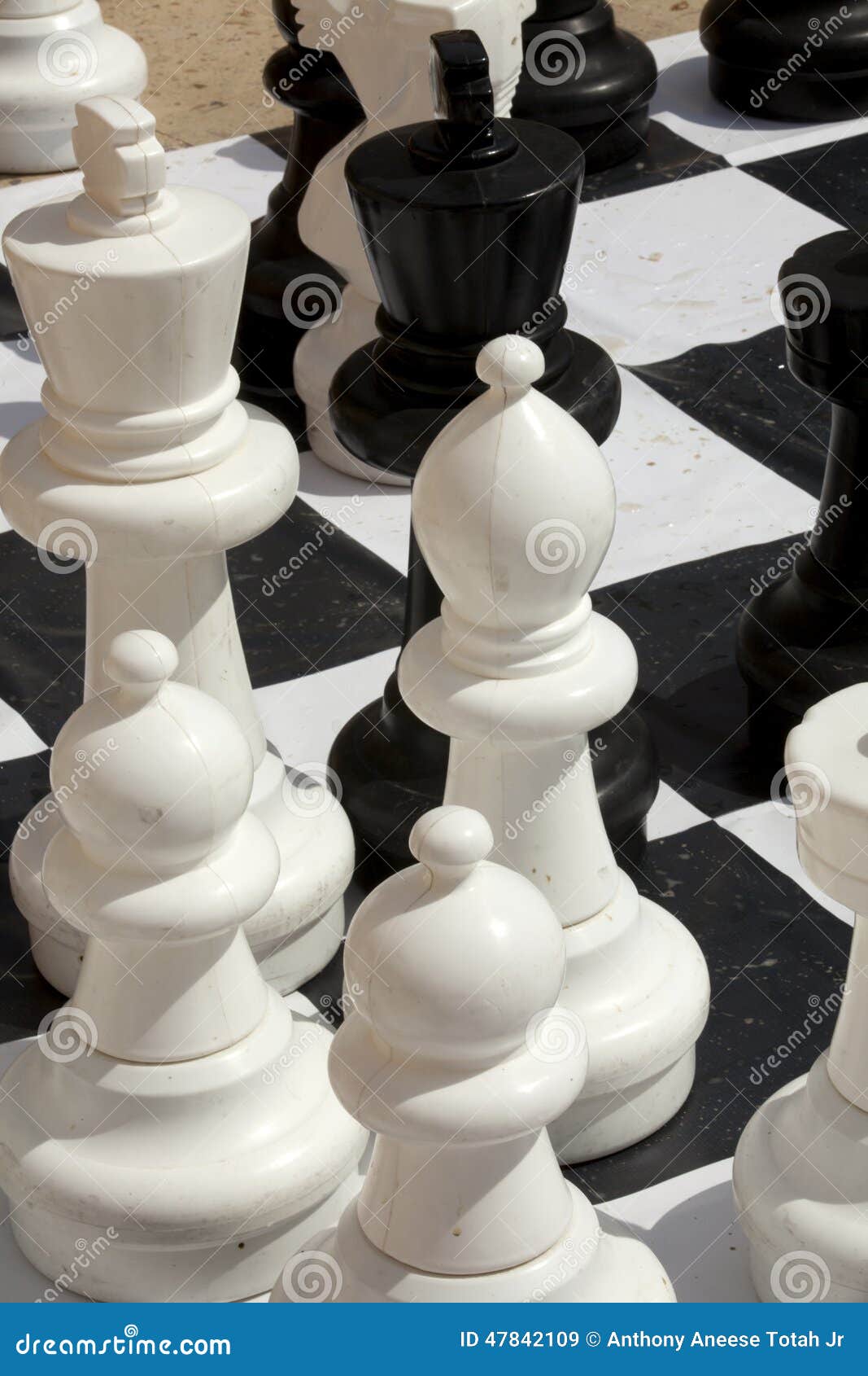 Chestboard Game Stock Photos - Free & Royalty-Free Stock Photos from ...