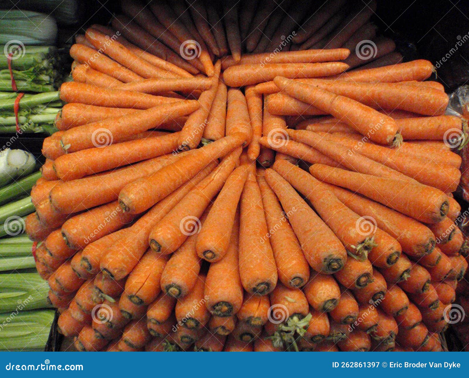 Large Circle of Carrots stock image. Image of harvest - 262861397