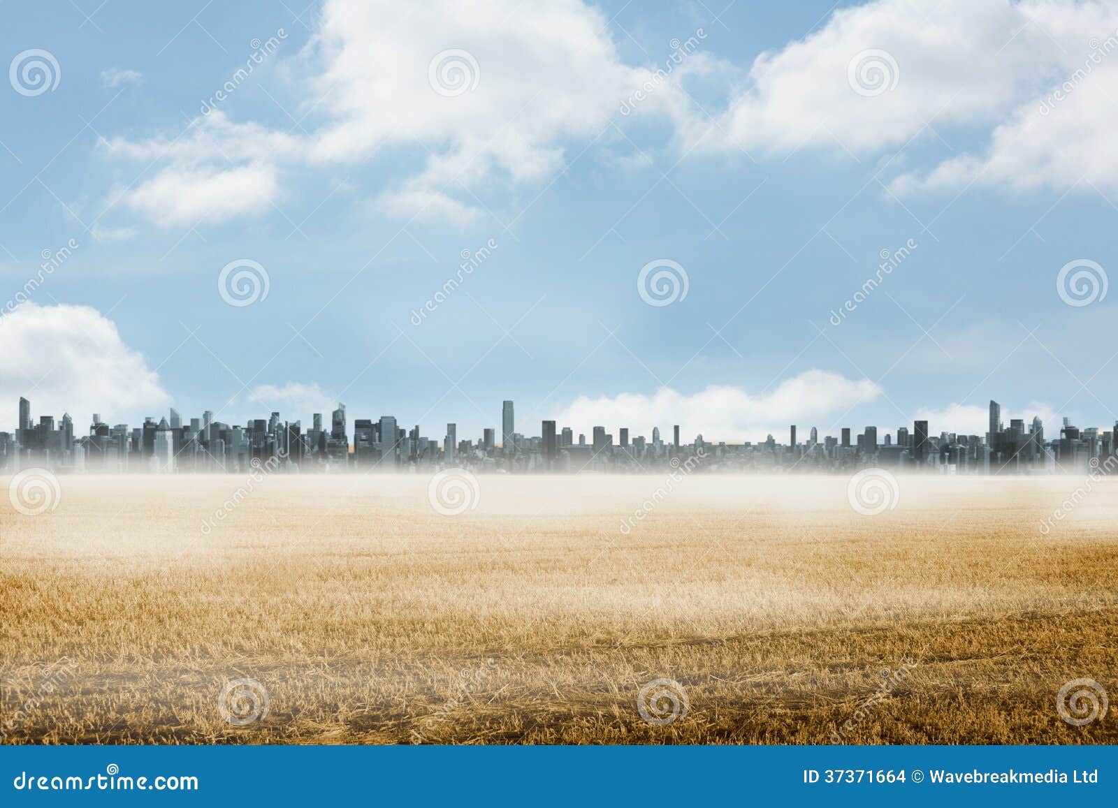 Large city on the horizon stock photo. Image of cityscape - 37371664