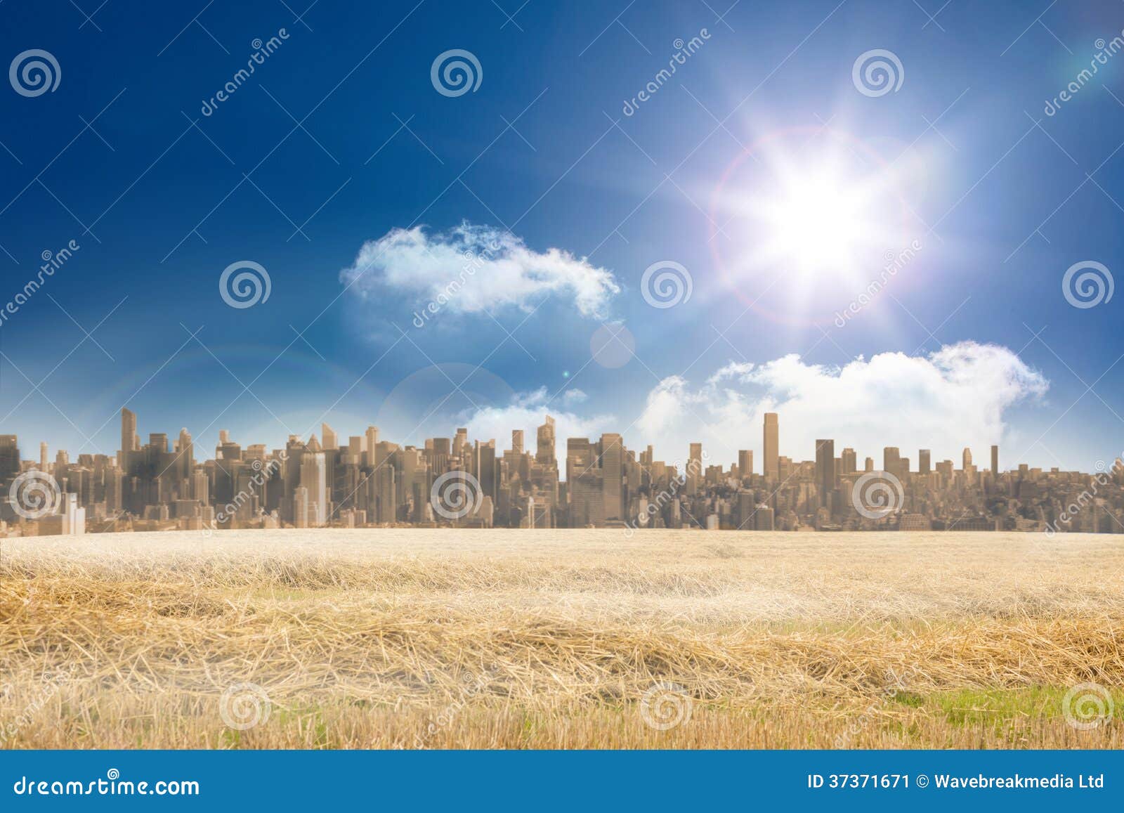 Large city on the horizon stock image. Image of generated - 37371671