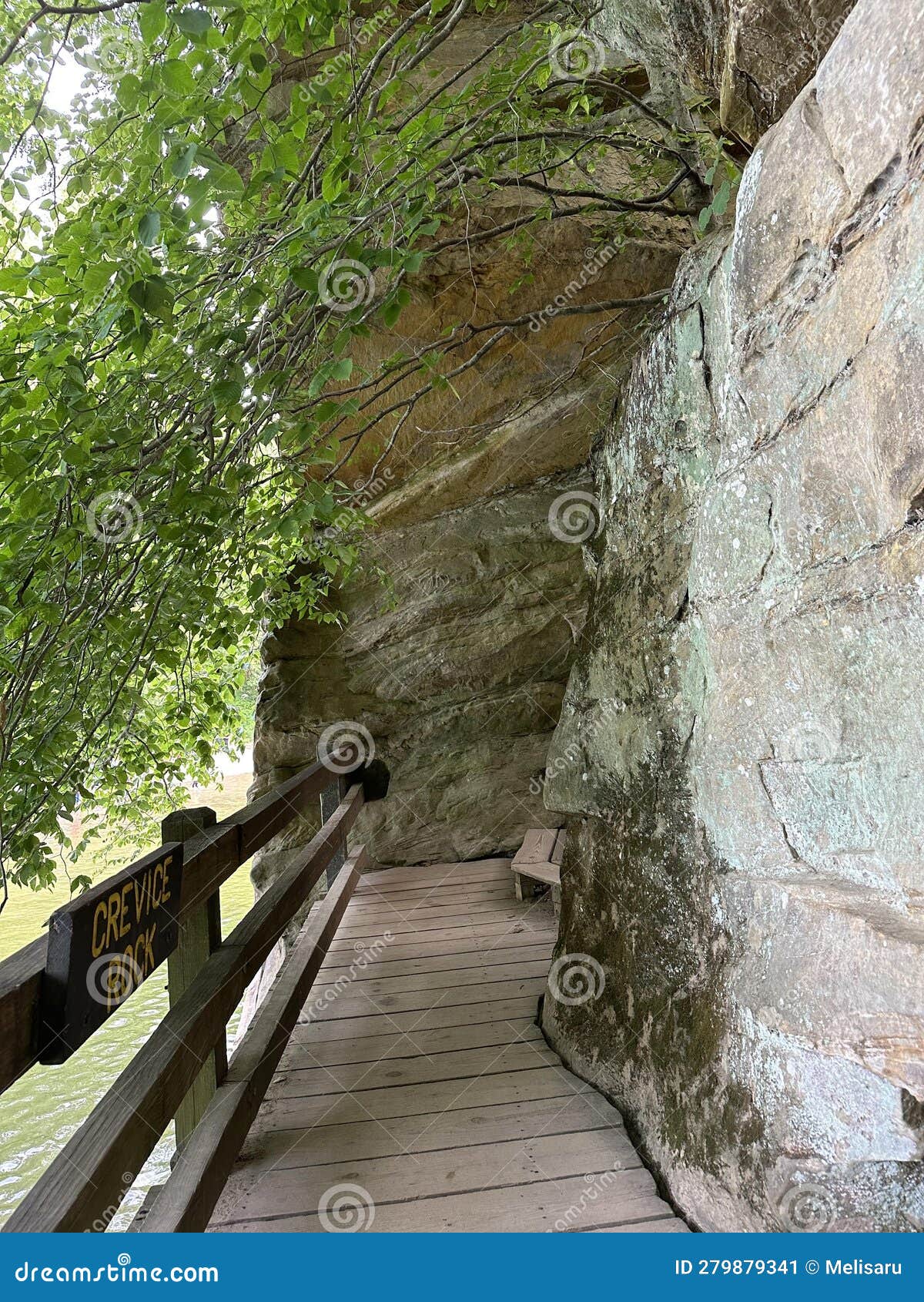 A Large Cliff Overgrown with Small Trees Stock Image - Image of cliff ...