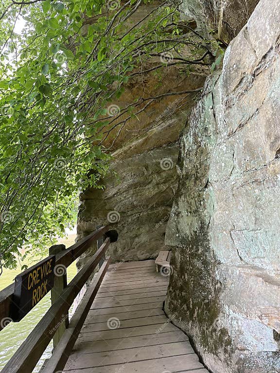 A Large Cliff Overgrown with Small Trees Stock Image - Image of cliff ...