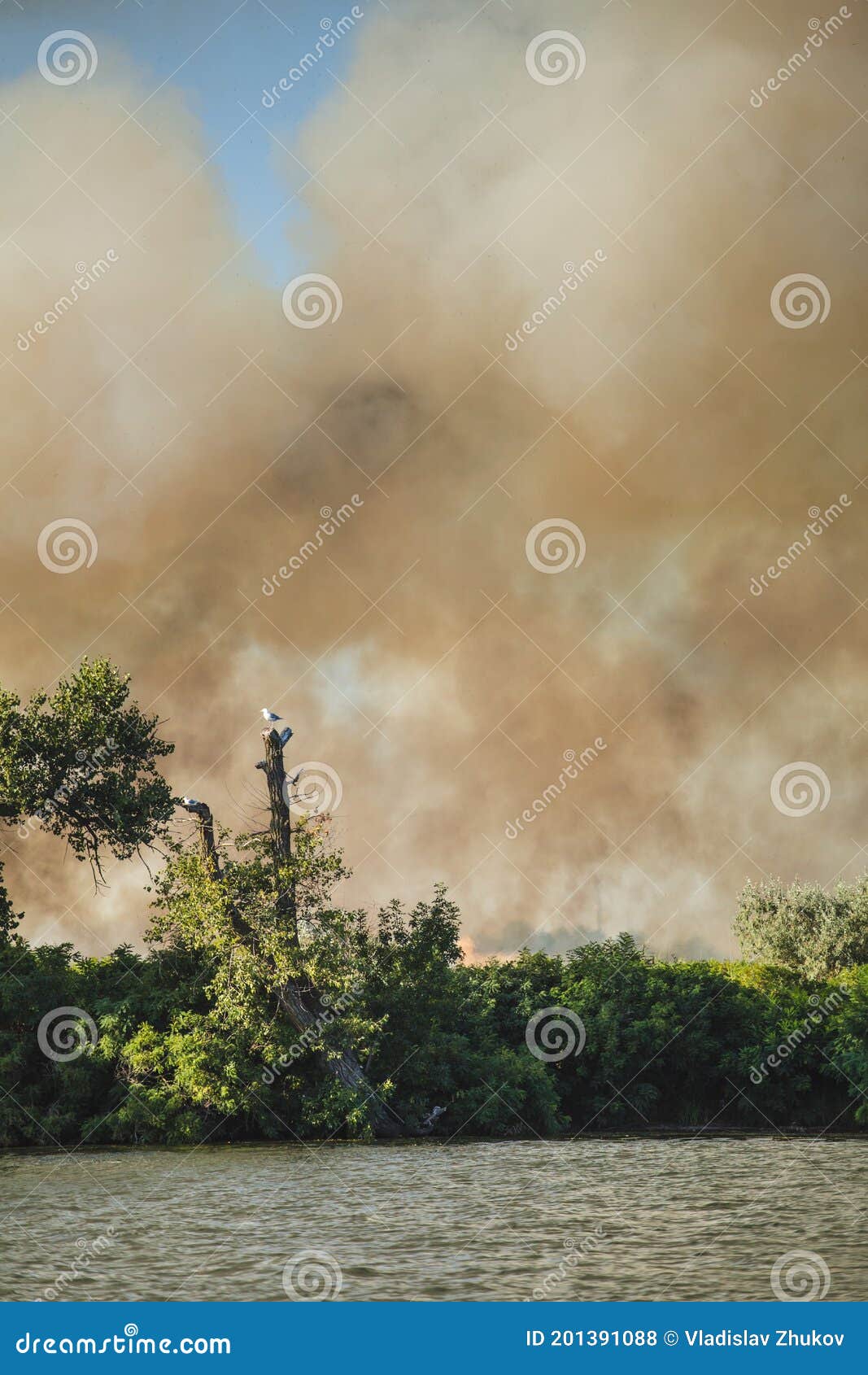 Large Clouds of Smoke, Fire in Nature Stock Photo - Image of light ...