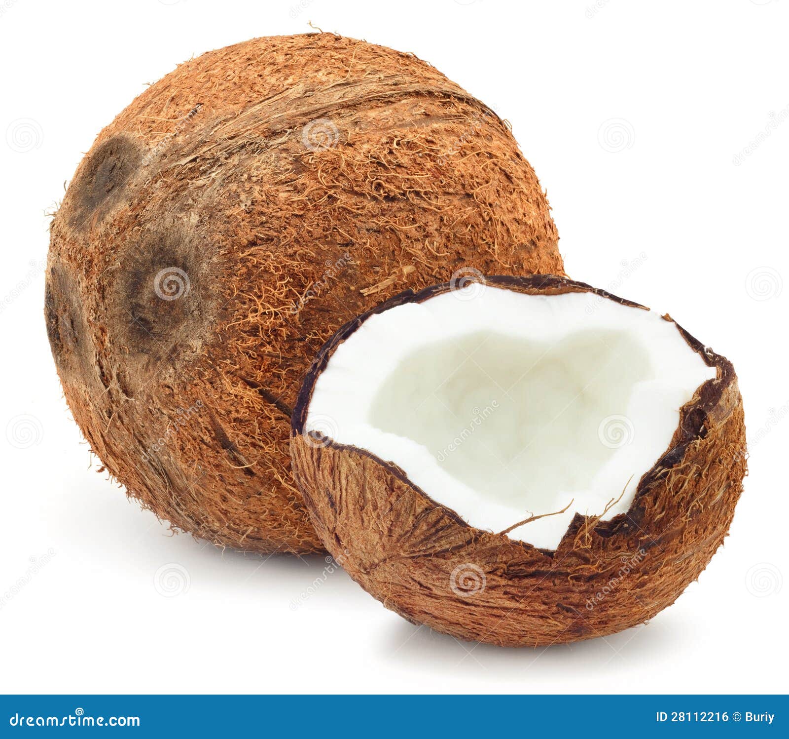 Large coconut stock photo. Image of vegetarian, closeup - 28112216