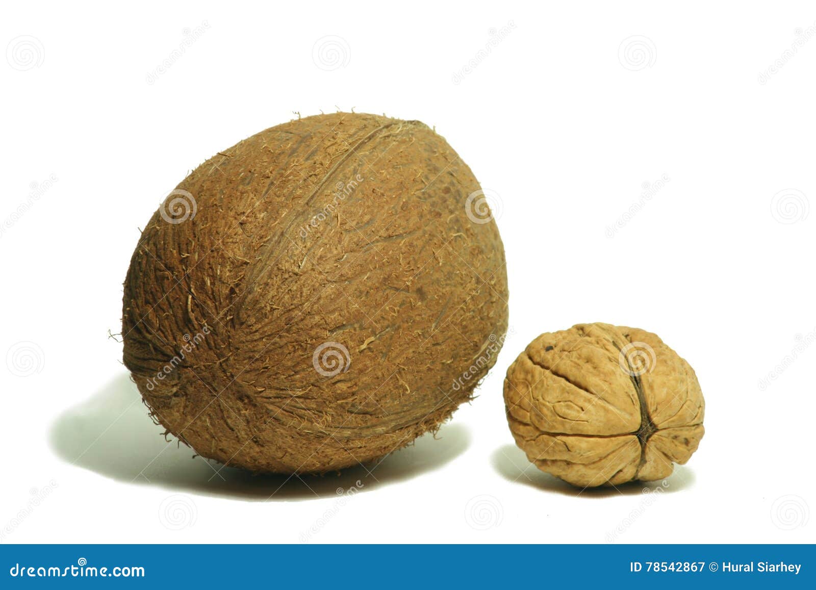 Large coconut 5 stock image. Image of cracked, nutrition - 78542867