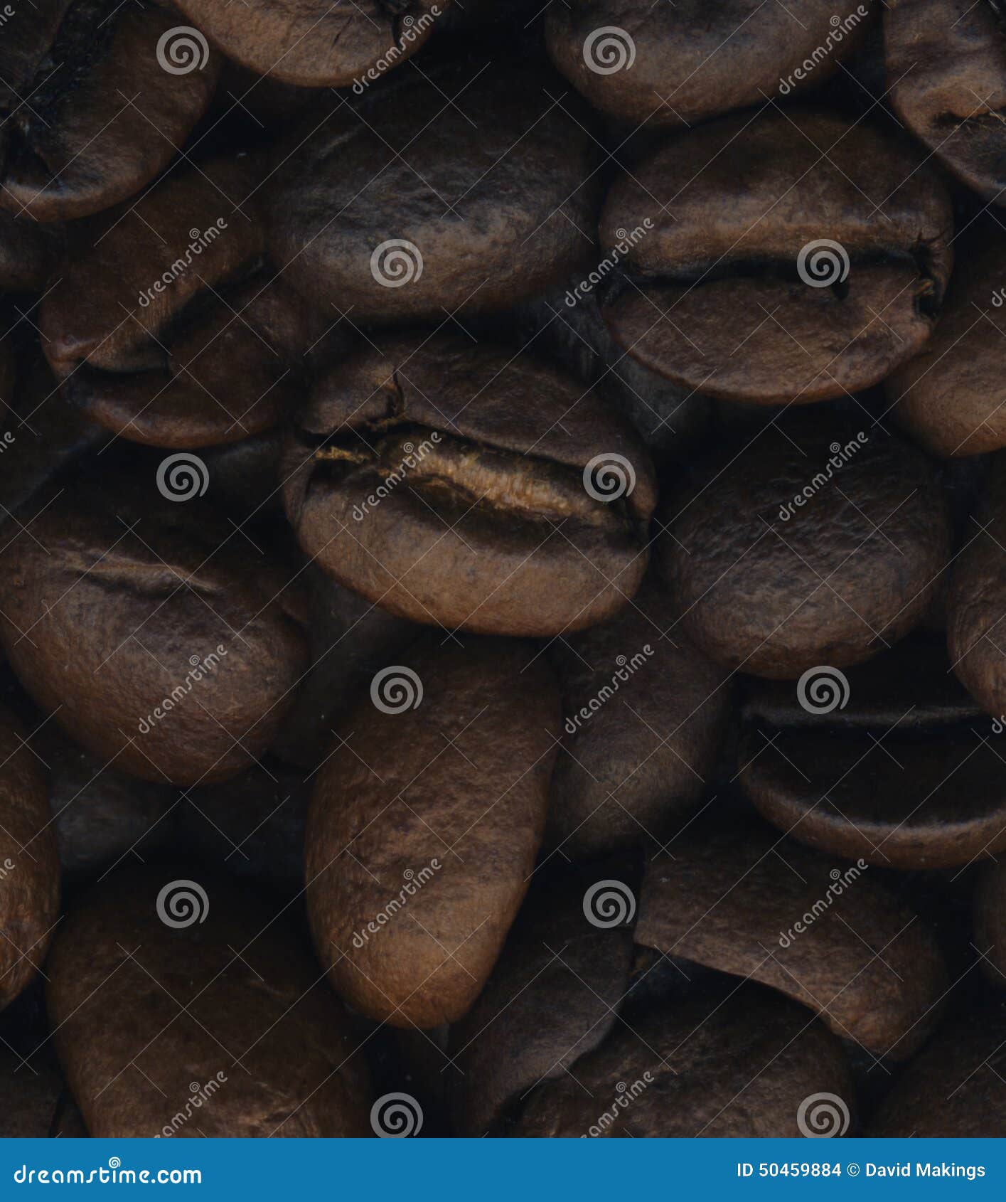 Large Coffee Beans Close Up Stock Photo - Image of food, strong: 50459884