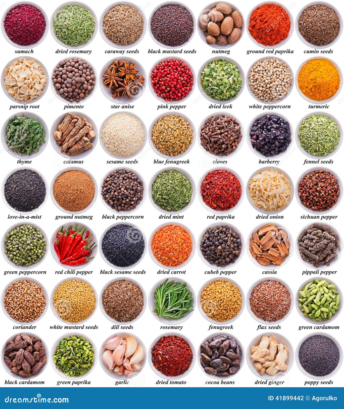Large Collection Of Different Spices And Herbs Stock Photo - Image ...