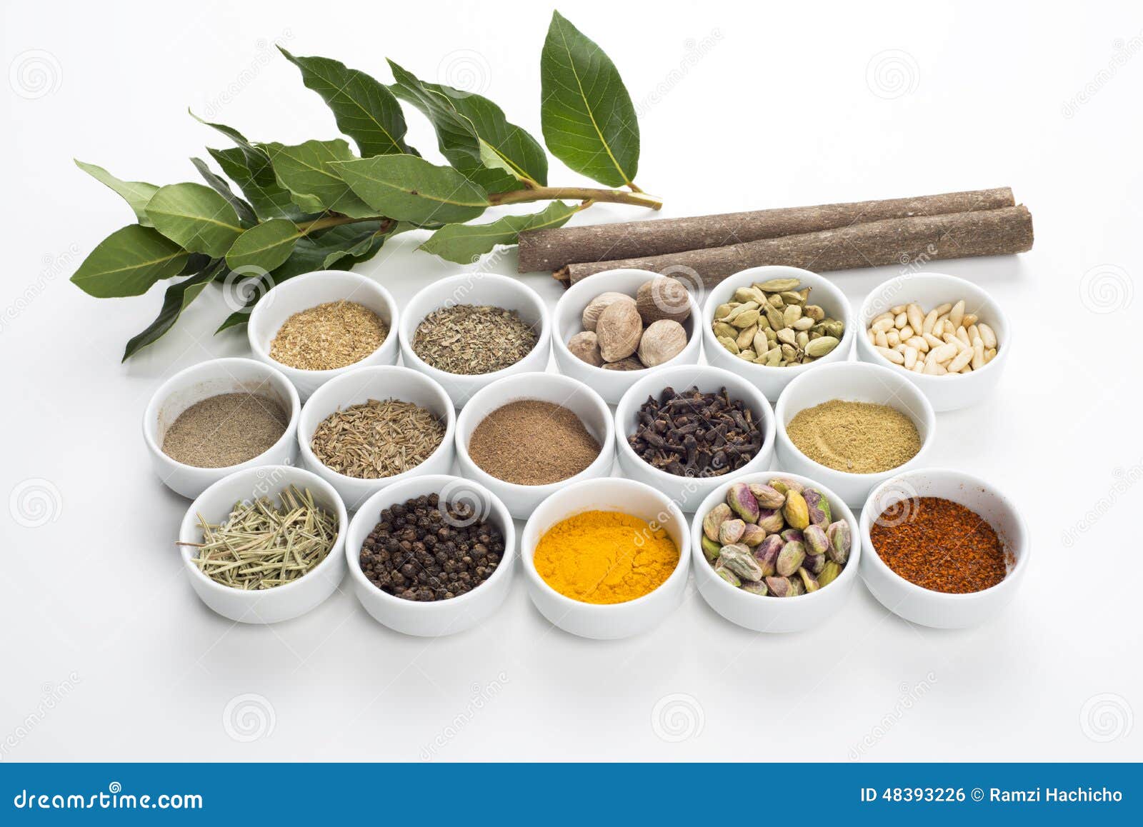 Large Collection of Different Spices and Herbs Isolated on White Stock ...