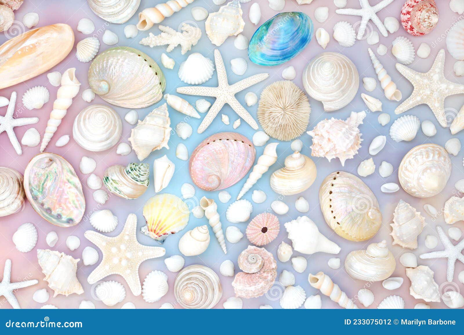 Large Collection Of Afghanistan Flags Of Various Shapes And Effects ...