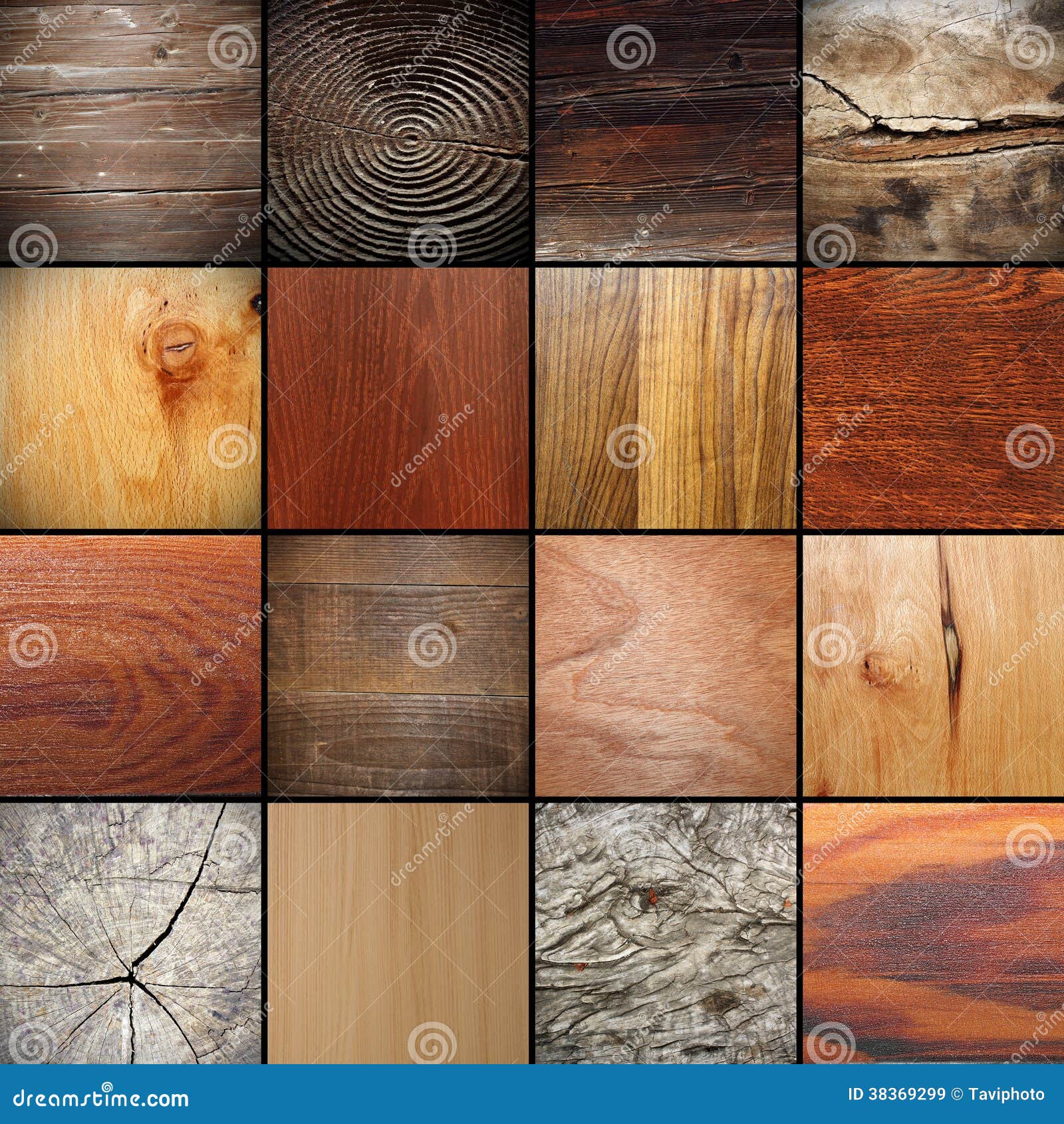 Large Collection of Wood Textures Stock Image - Image of material ...