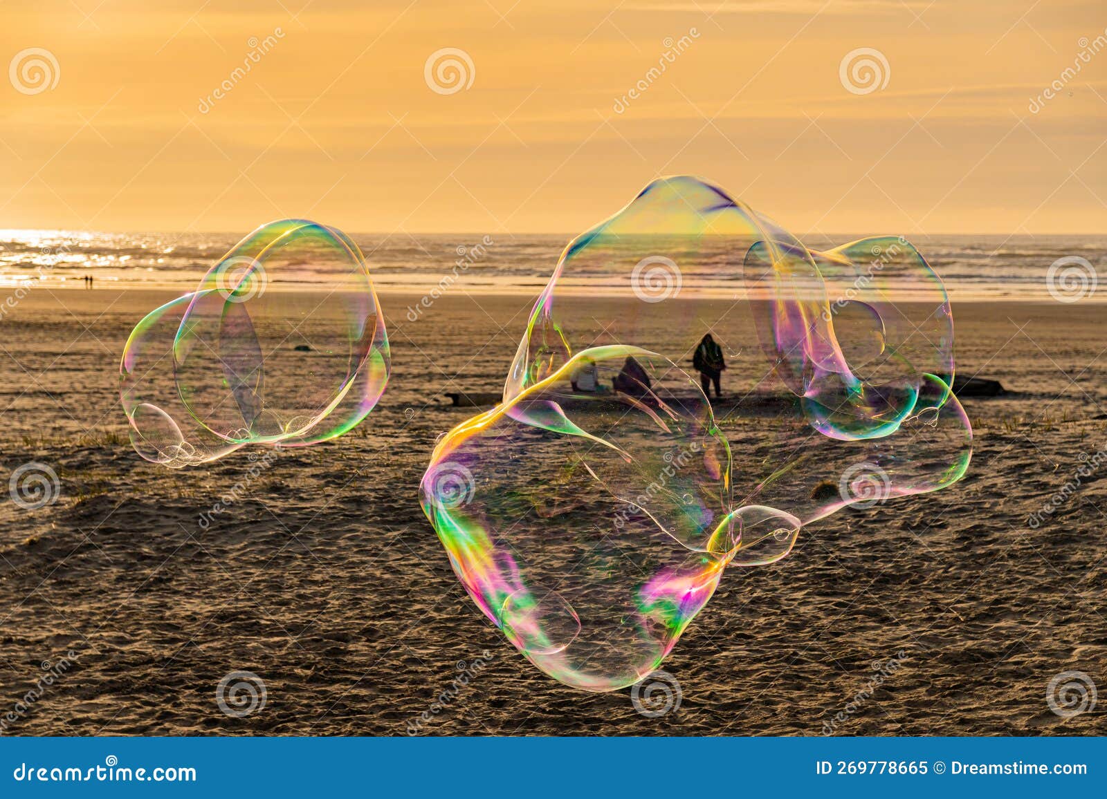 Sunlight Refracting through Large Colorful Bubbles on the Ocean Coast ...