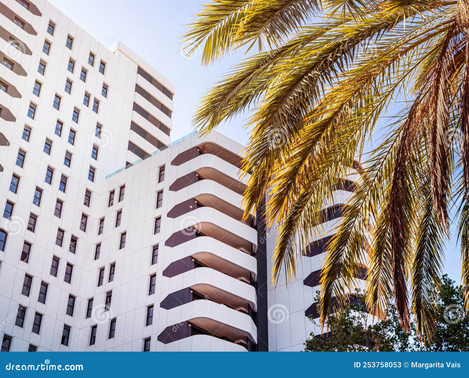 Large Comfortable Tenement House with Palm Leaves in Front of it Stock ...