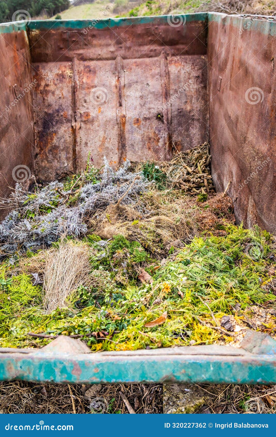 Large Container with Green Waste in Public Park, Recycling or Plants ...