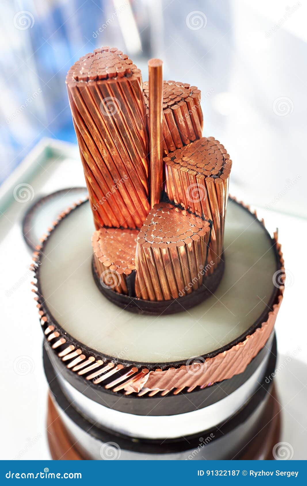 Large Copper Power Cable in Section Stock Image - Image of data, power ...