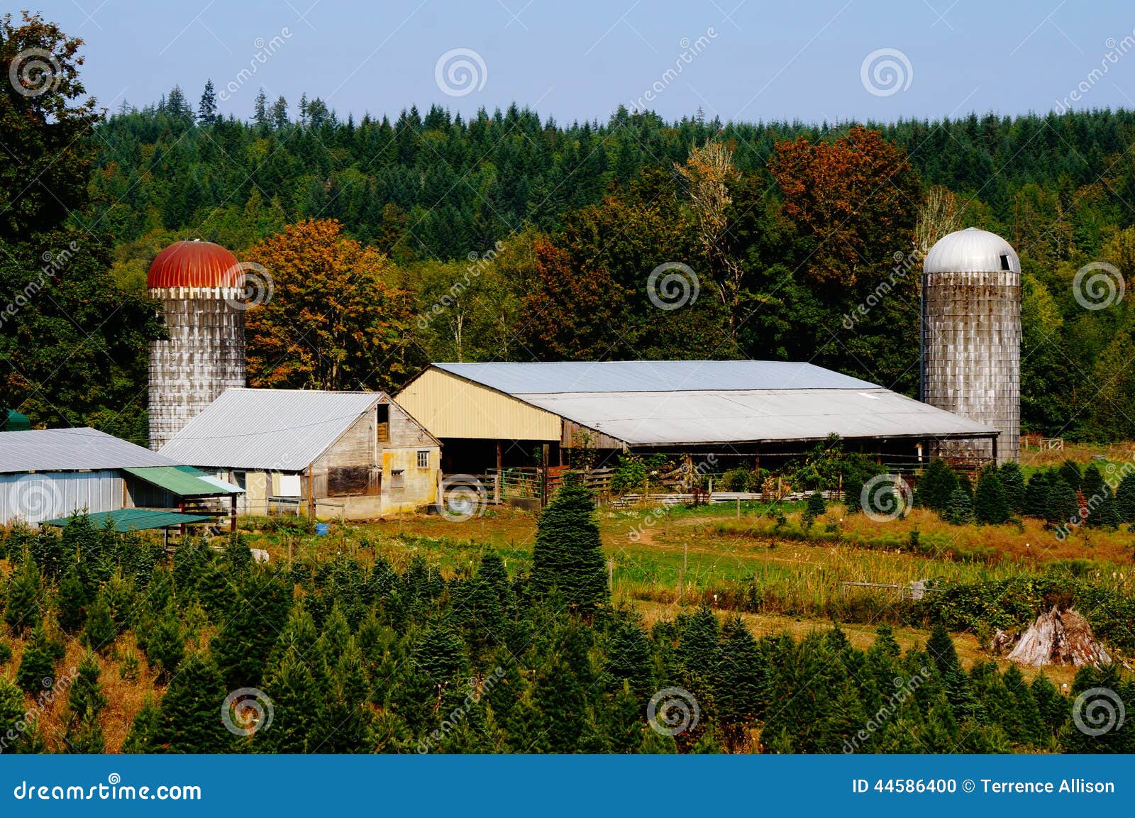 Large Country farm stock photo. Image of shelton, animals - 44586400