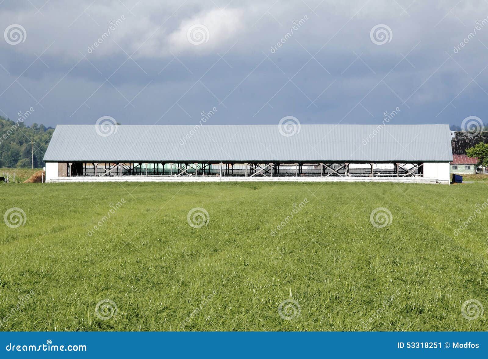 Large Cow Barn stock image. Image of grass, field, building - 53318251
