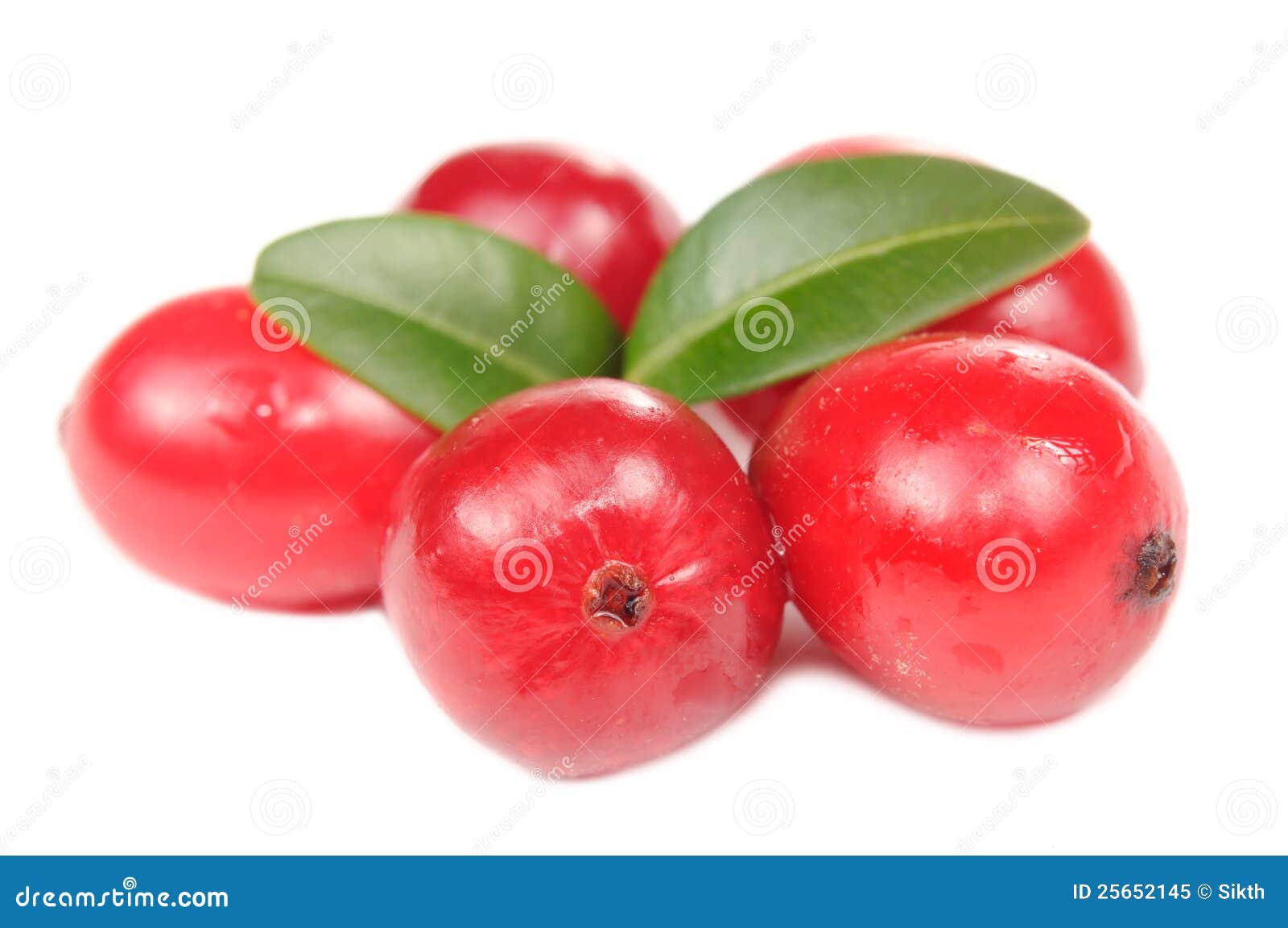 Large Cranberries with Green Leaves Stock Image - Image of health ...