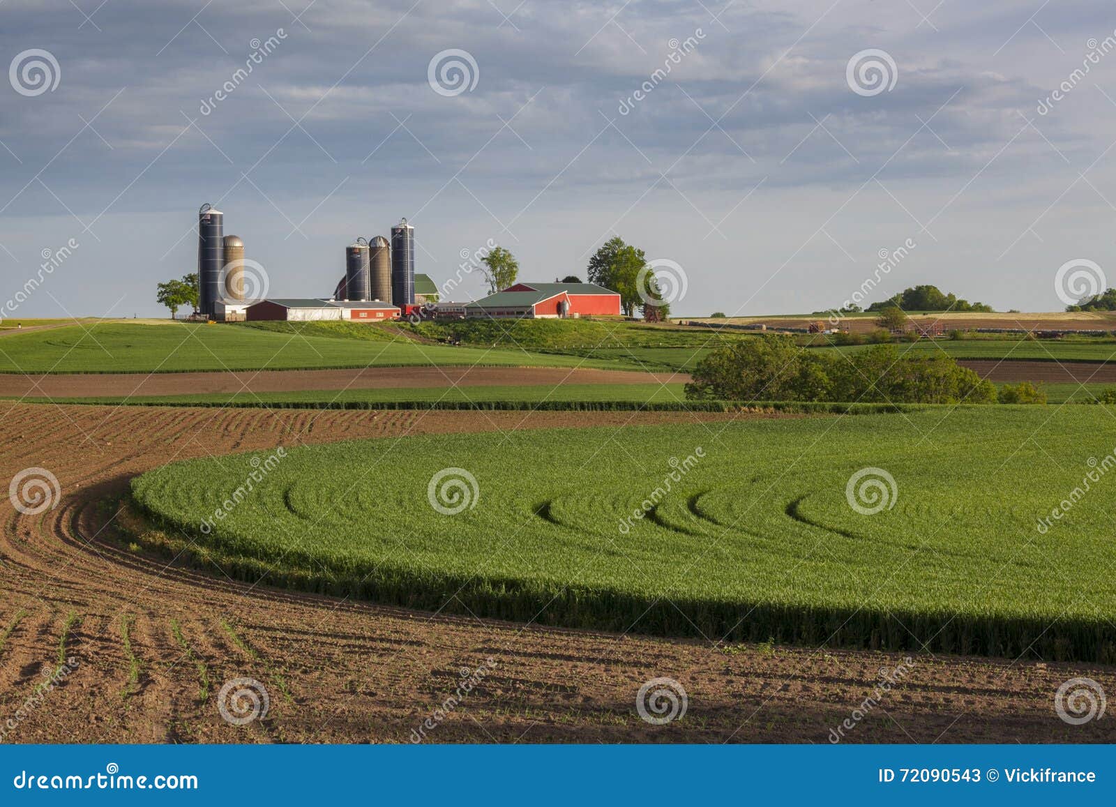 Large Dairy Farm stock image. Image of planting, barn - 72090543